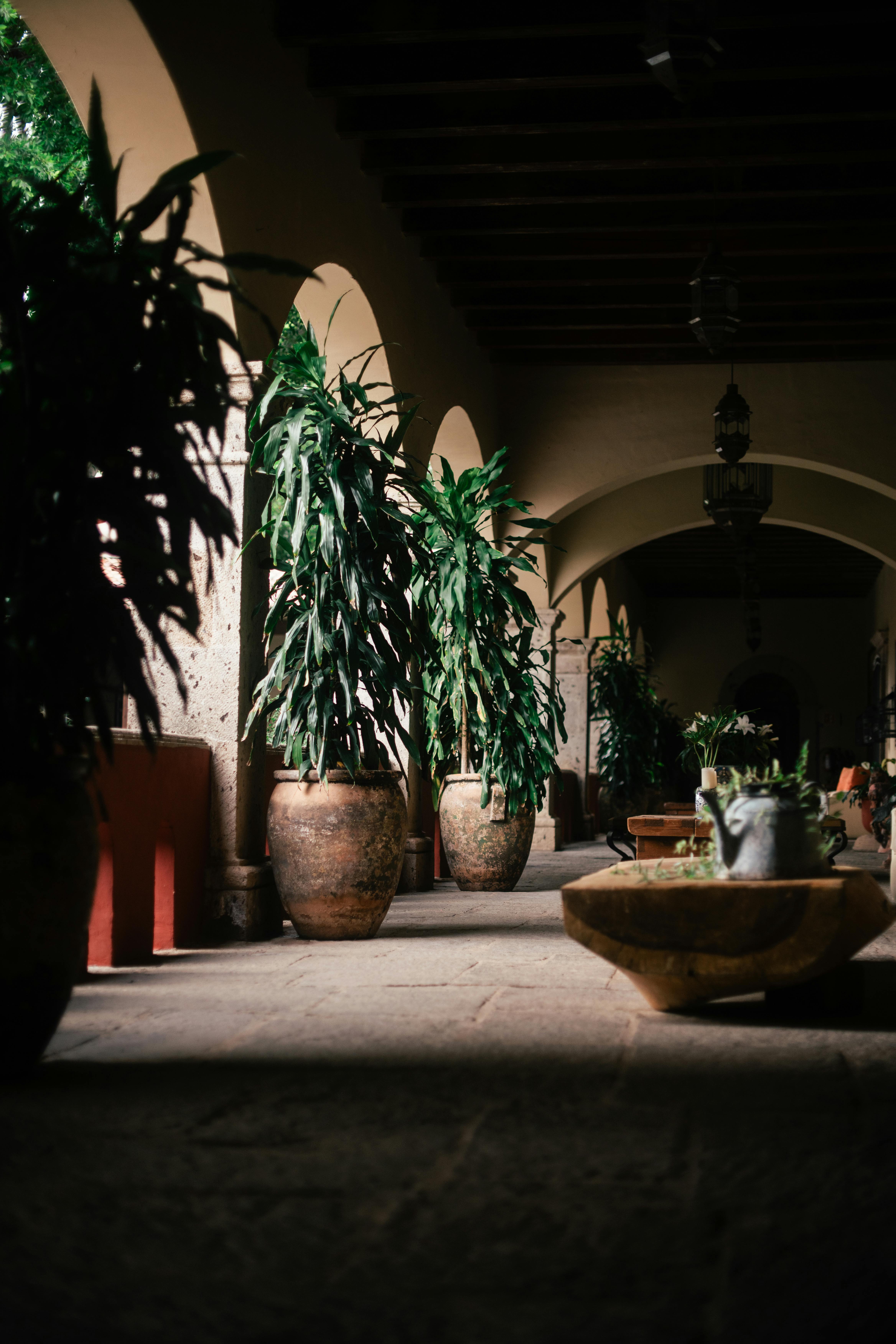 Planter De Passage Photos, Download The BEST Free Planter De Passage ...