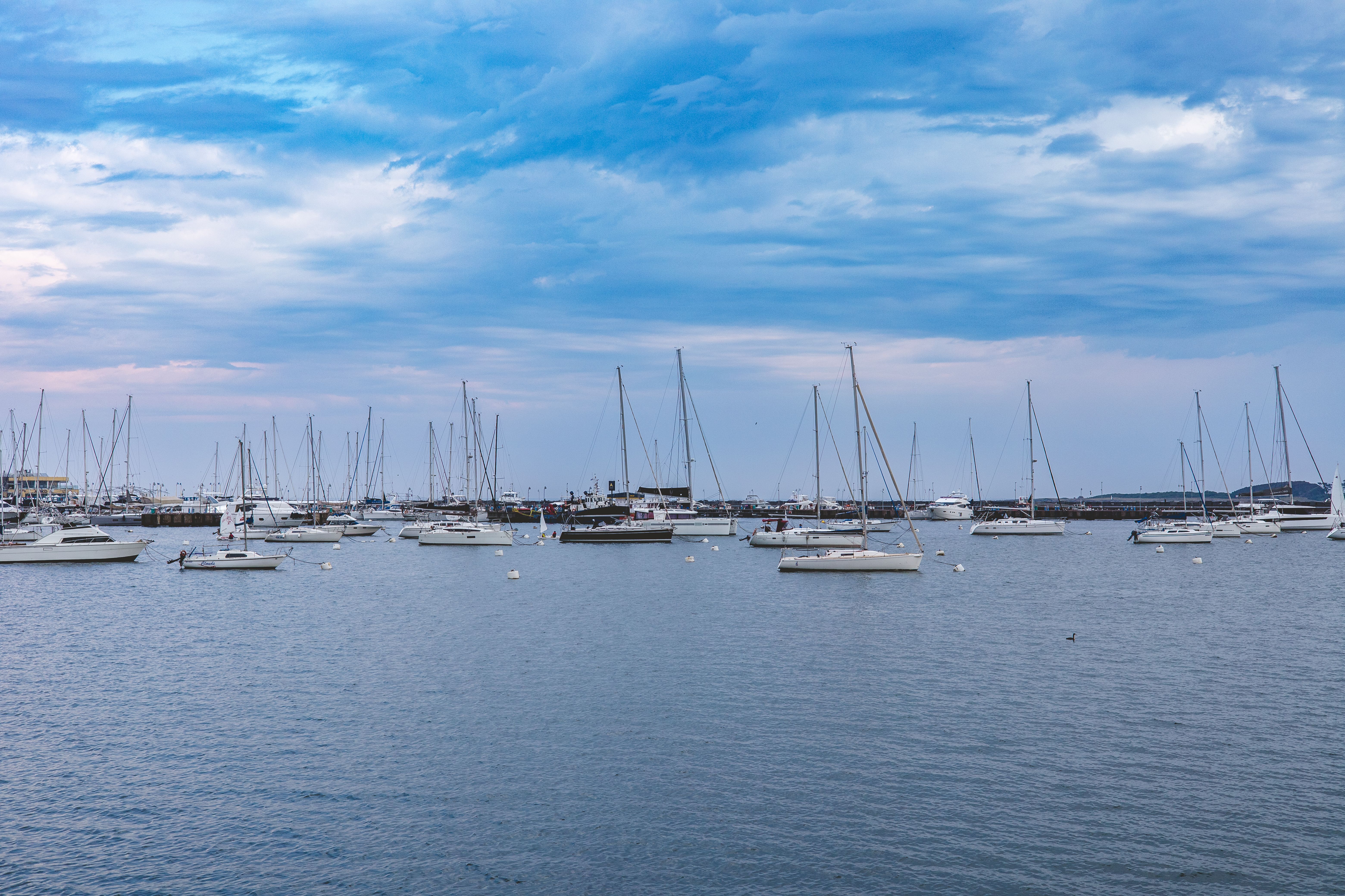Aerial View Of Sailboats on Water · Free Stock Photo