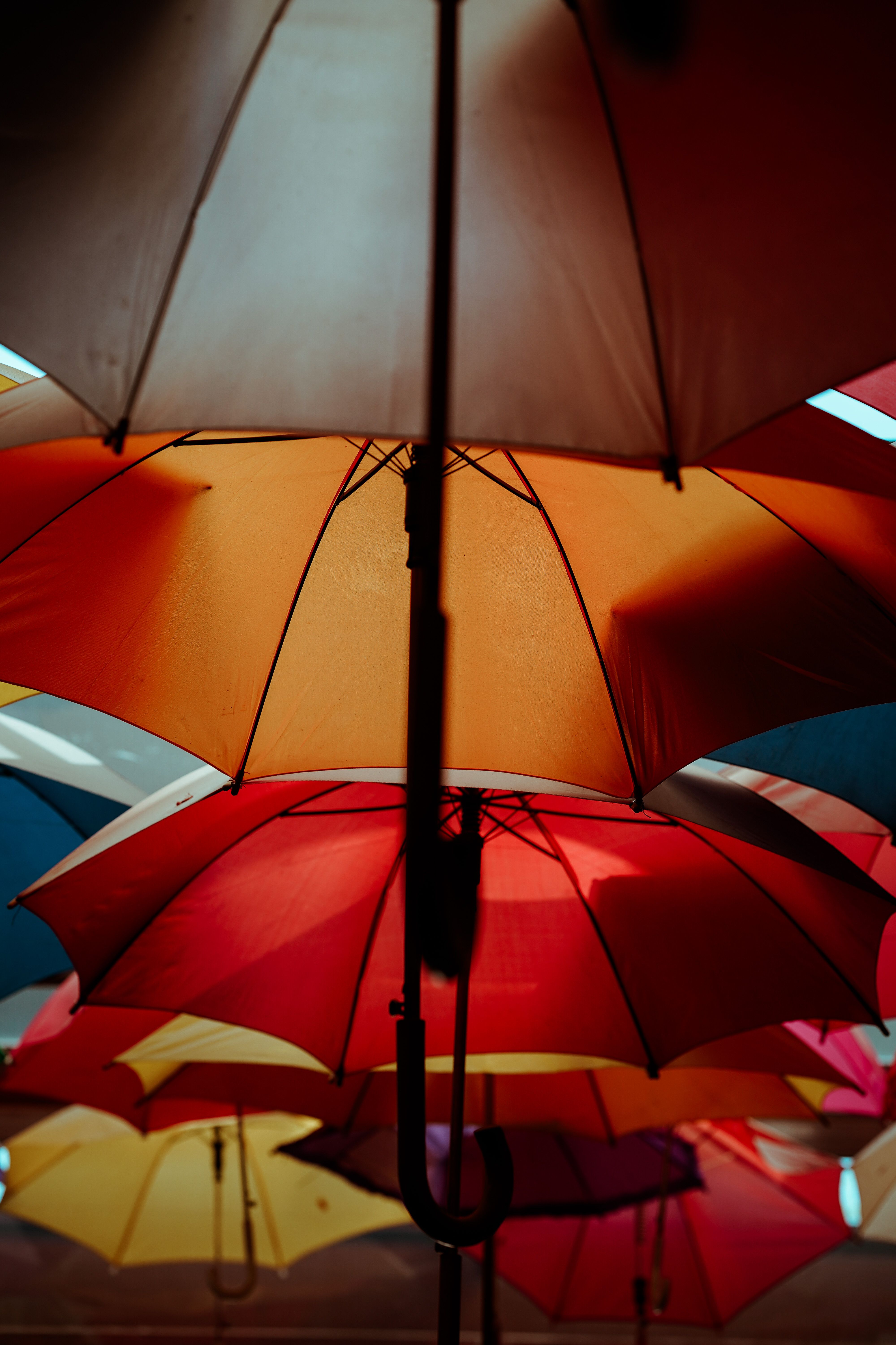Close up of Colorful Umbrellas · Free Stock Photo