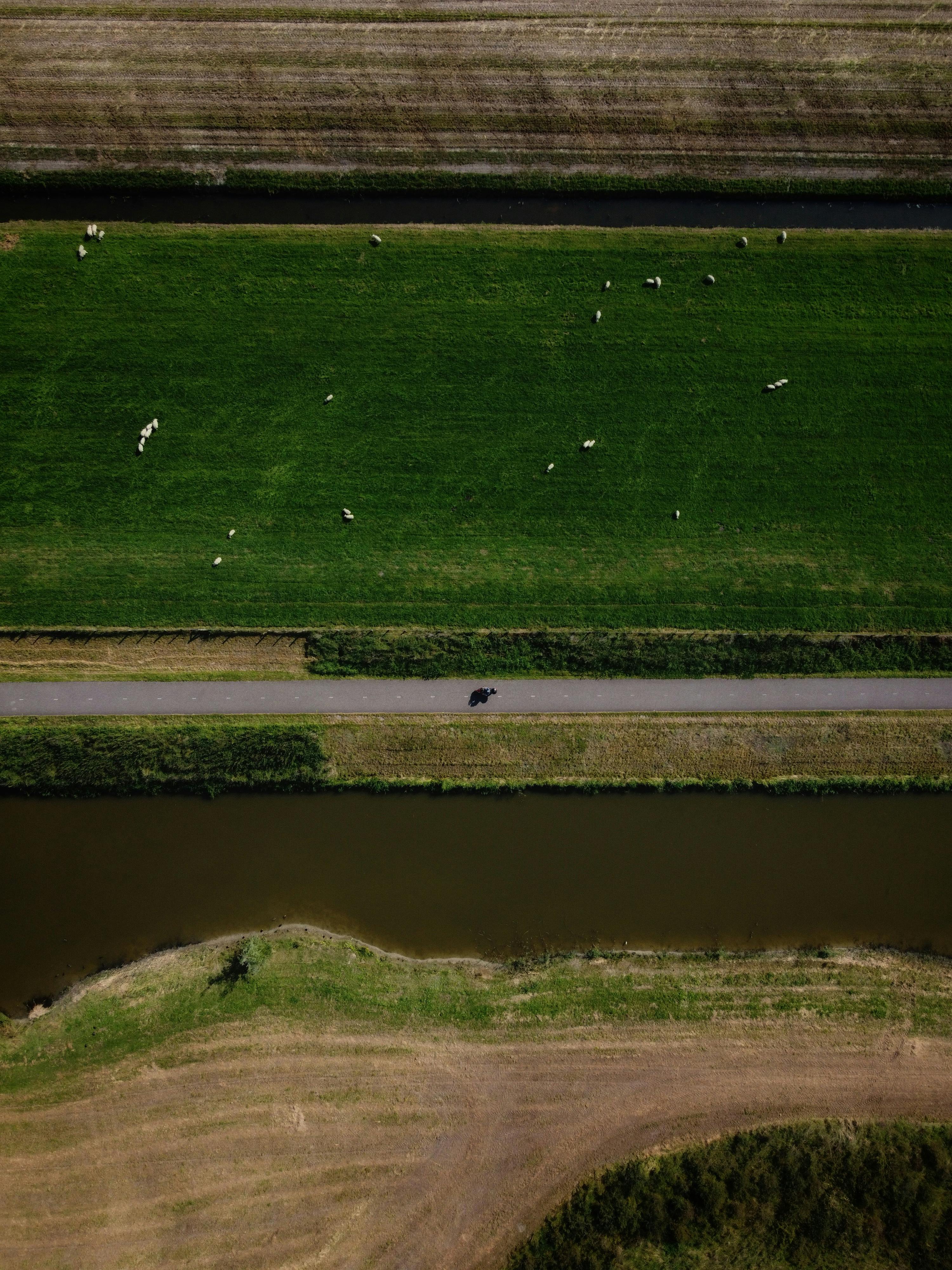 A bird's eye view of a field with a river · Free Stock Photo