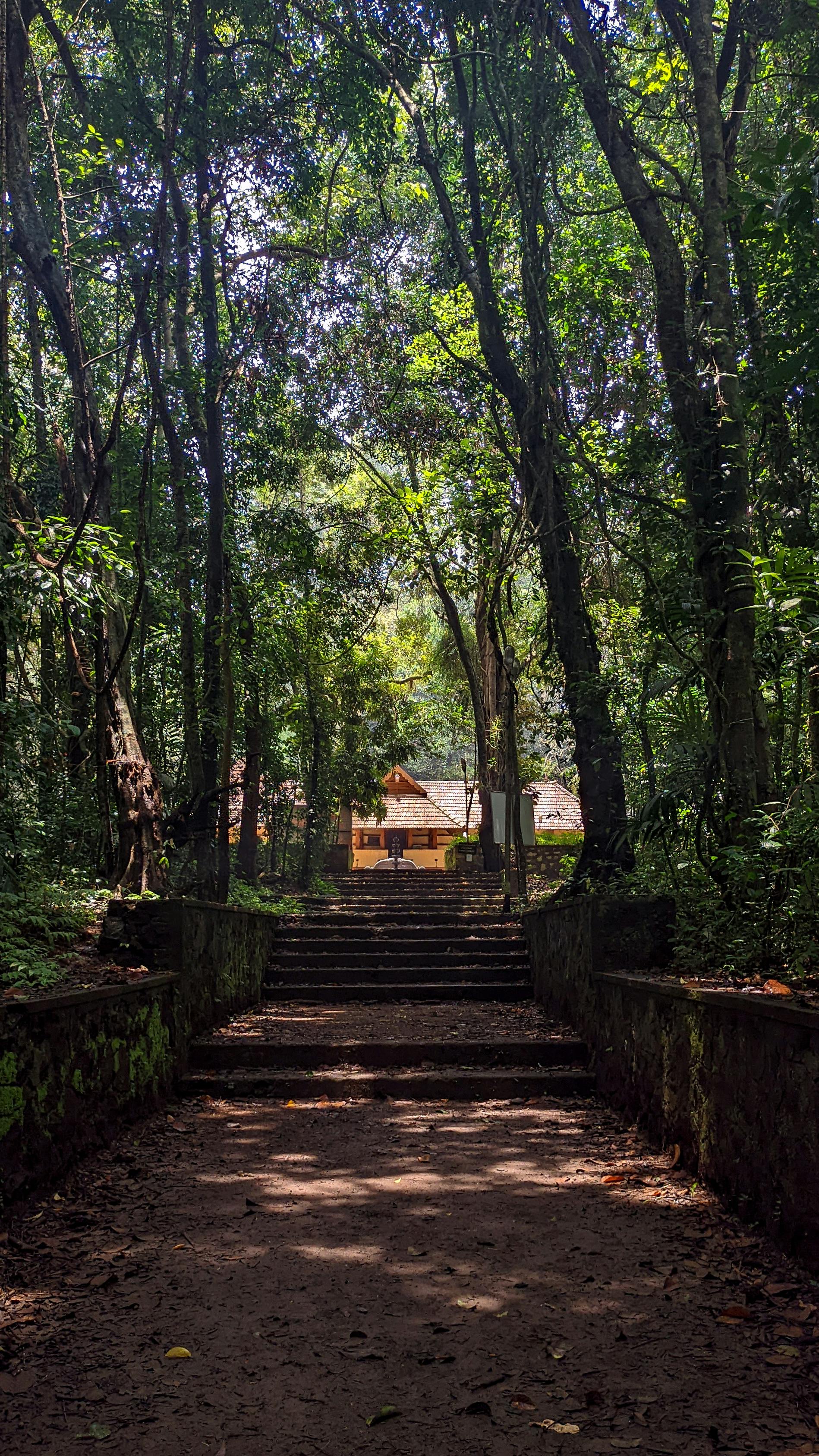 Building behind Trees in Forest · Free Stock Photo