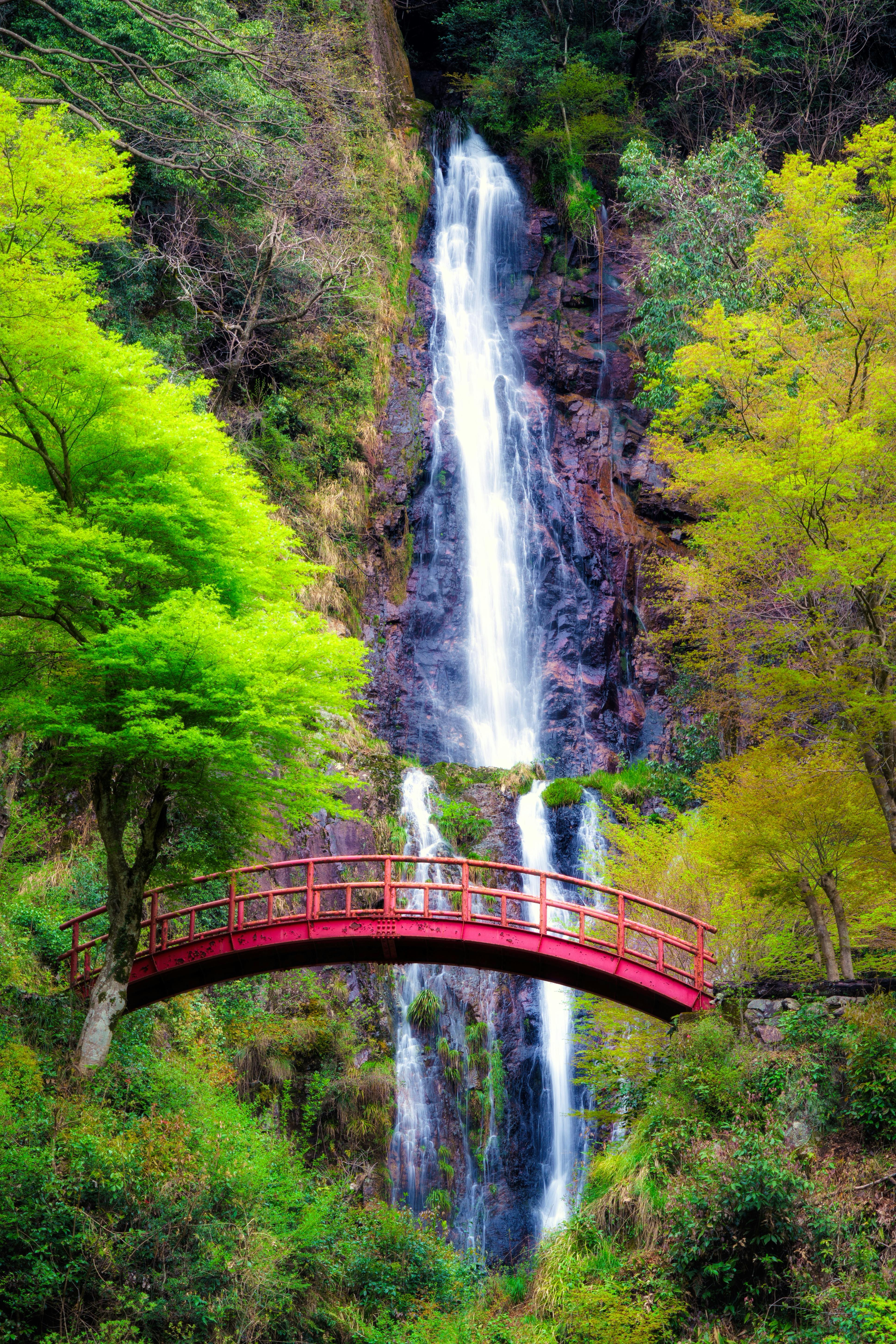 Goho Falls in Japan · Free Stock Photo