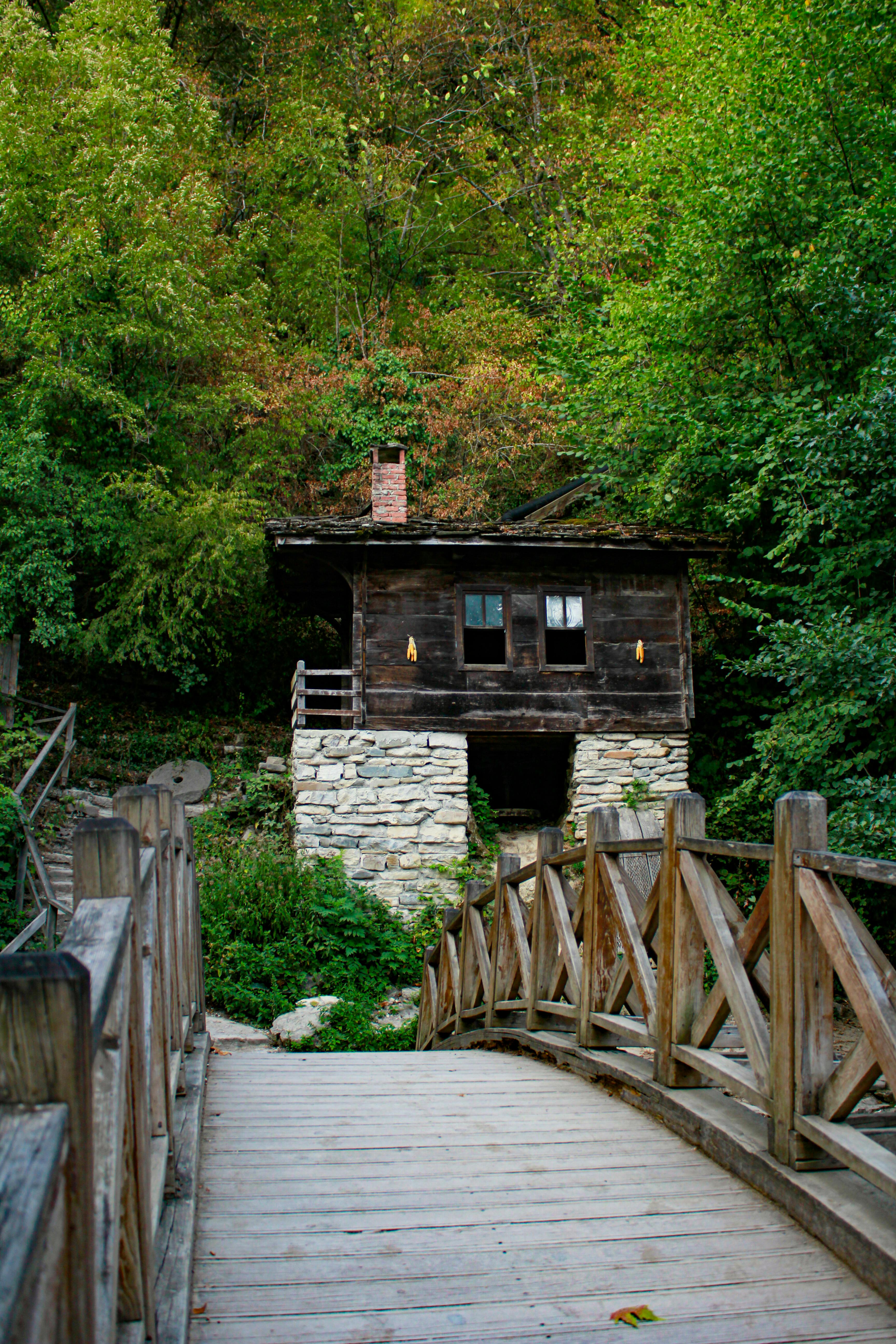 Wooden House and Footbridge in Forest · Free Stock Photo