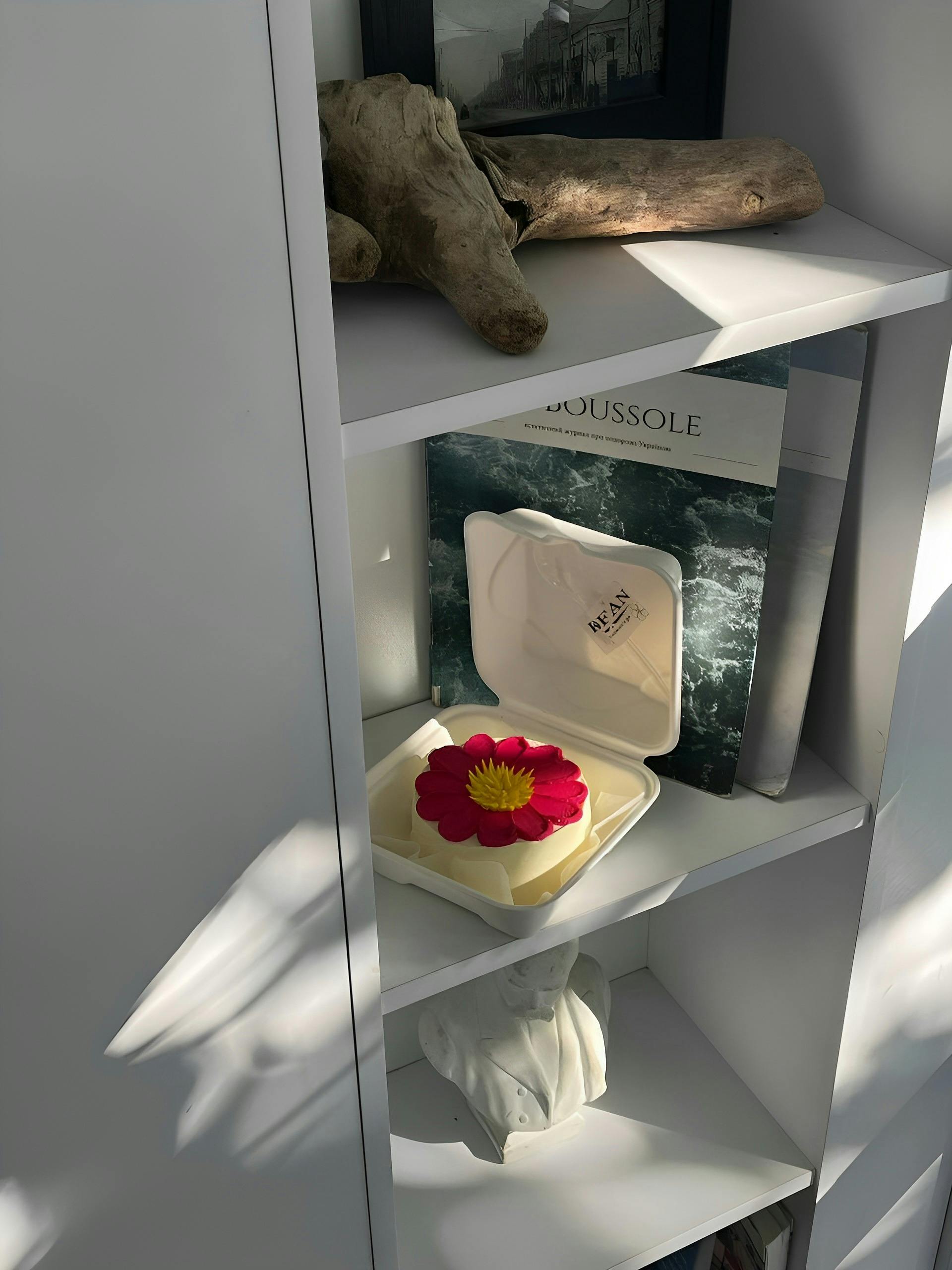 Flower Shaped Bento Cake in Box Standing on a Shelf · Free Stock Photo