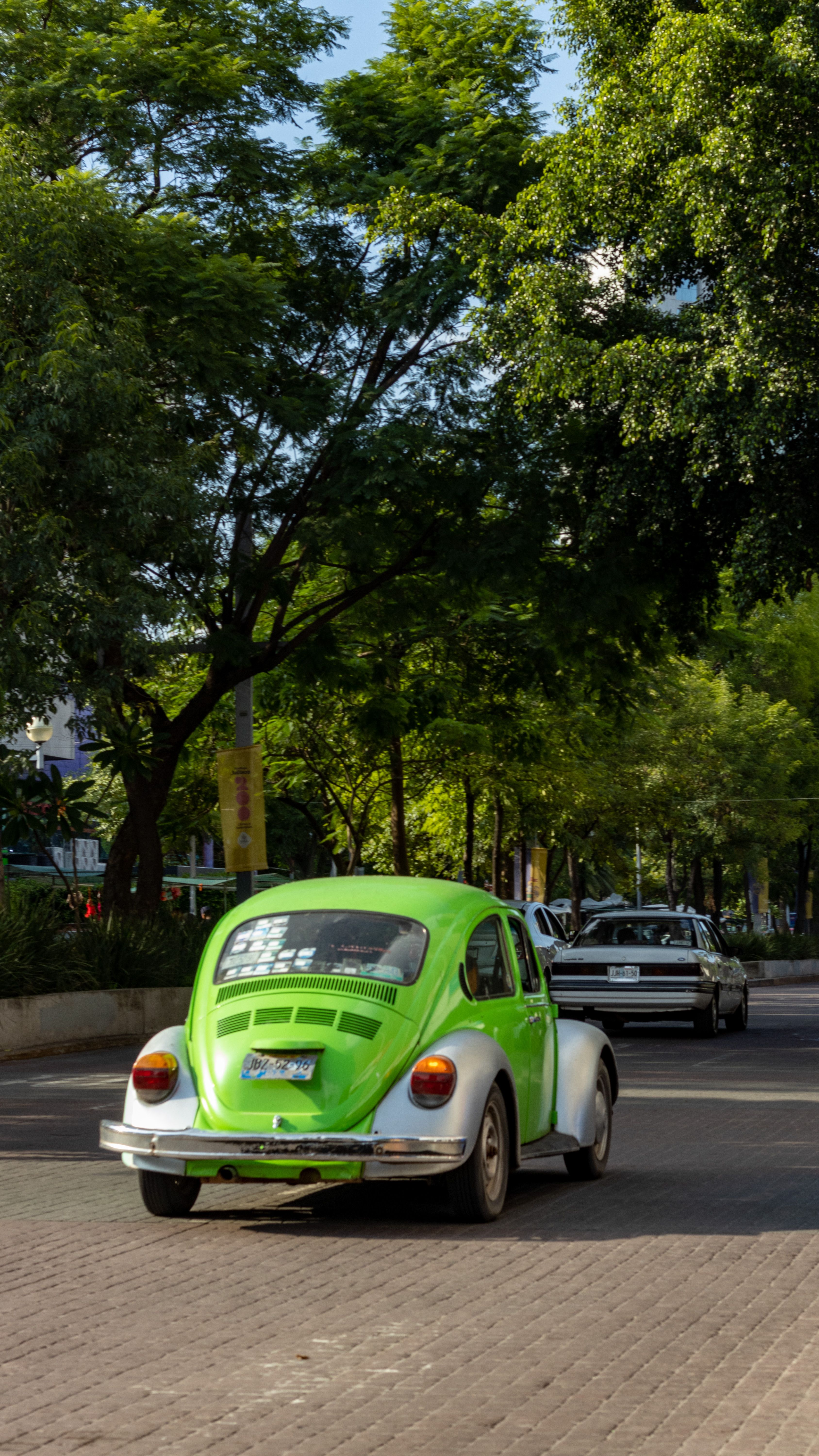 Green Volkswagen Beetle on Street · Free Stock Photo