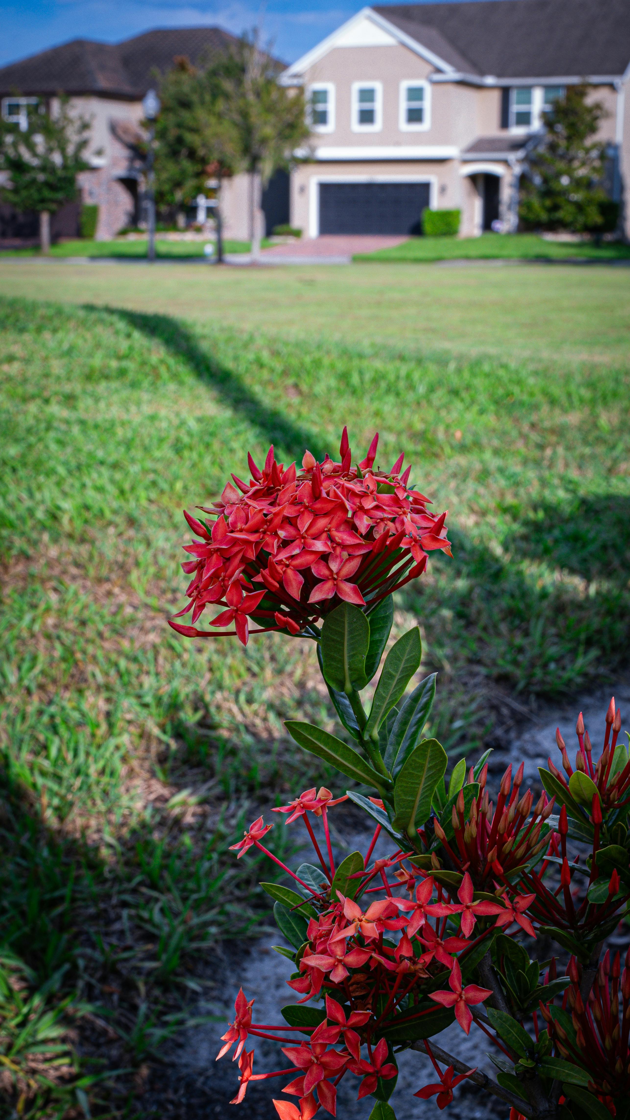 Mark Alicea - Photography