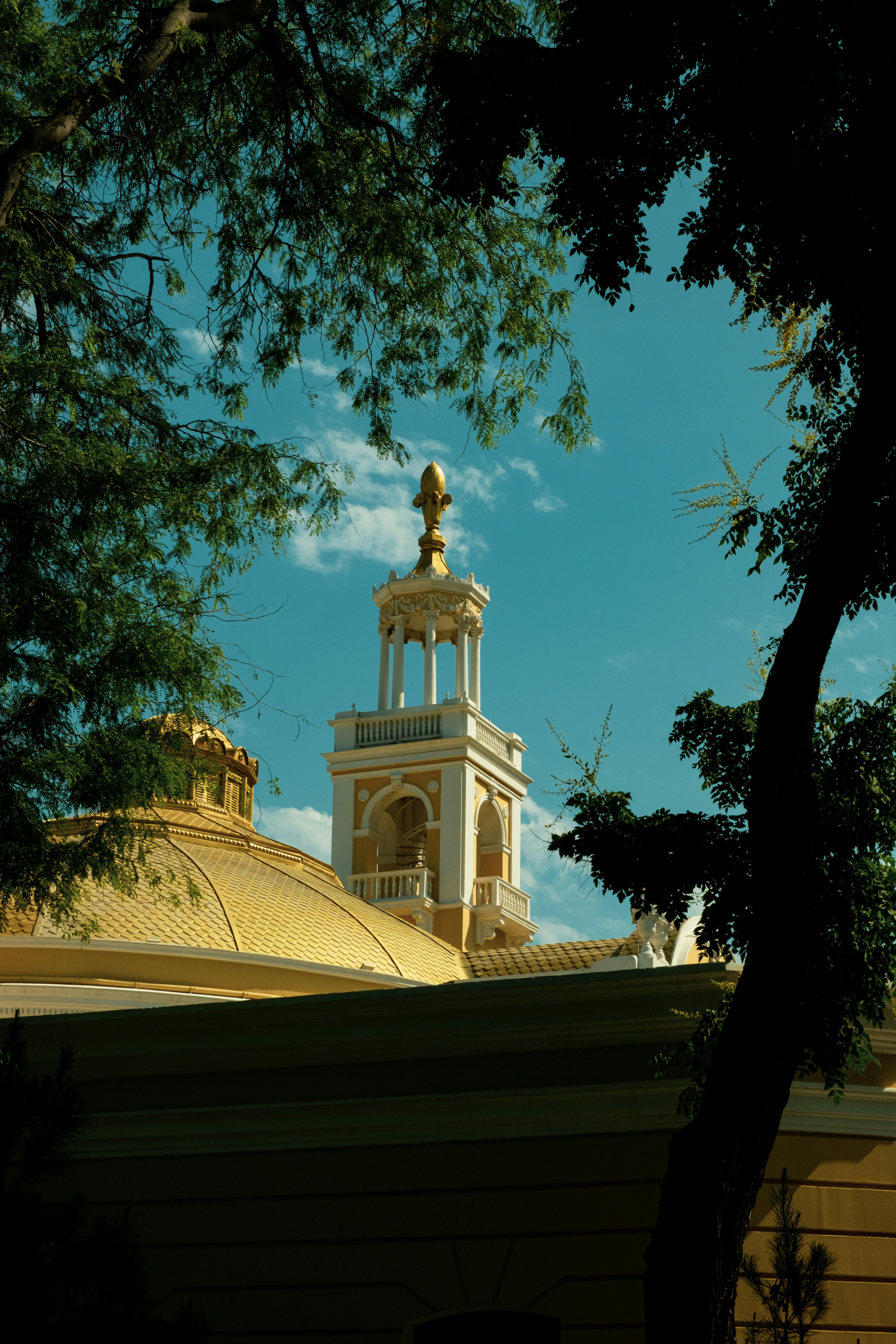 Foto de stock gratuita sobre al aire libre, arboles, arquitectura ...