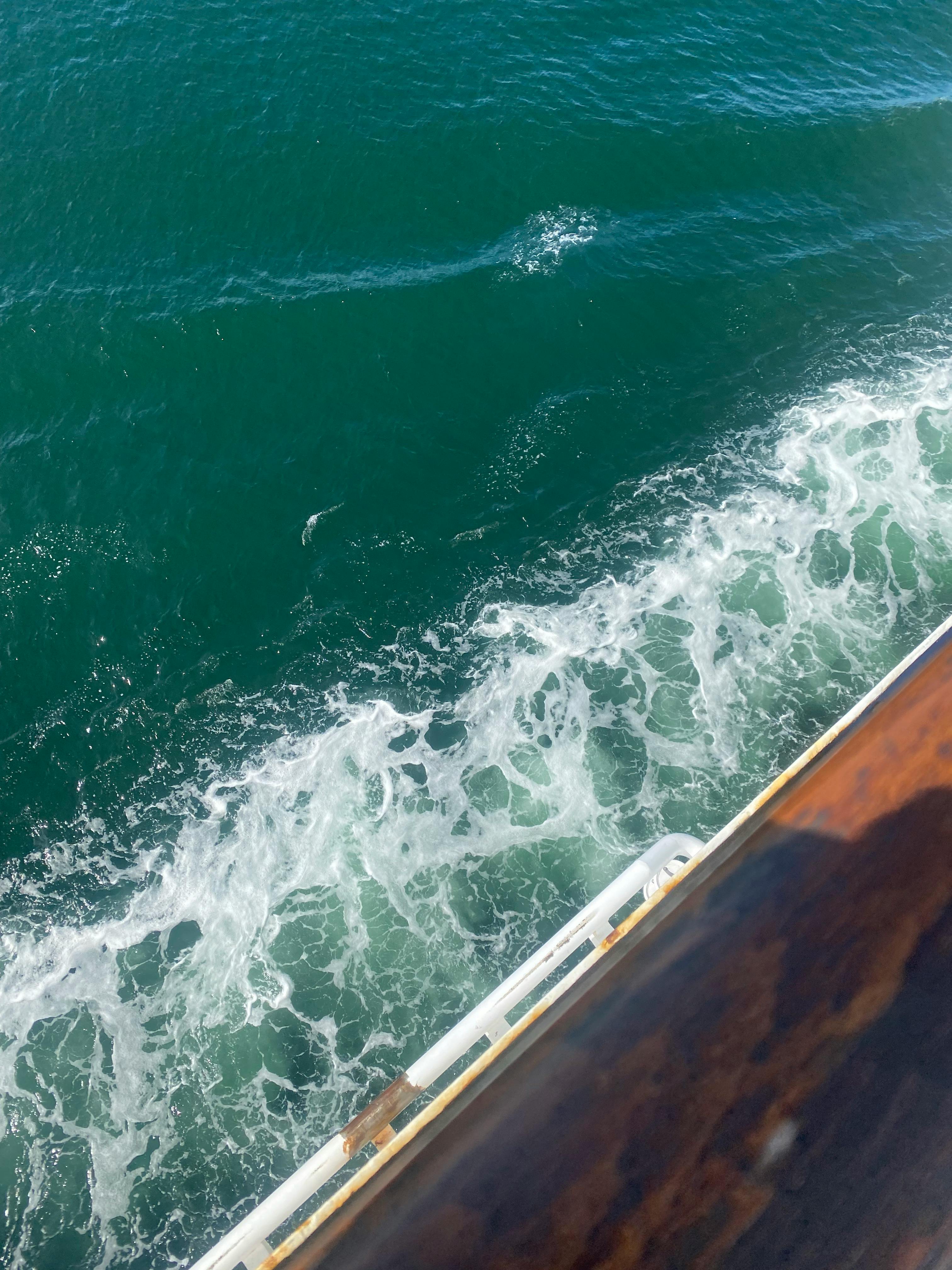 Vapor Wave Photos, Download The BEST Free Vapor Wave Stock Photos & HD ...