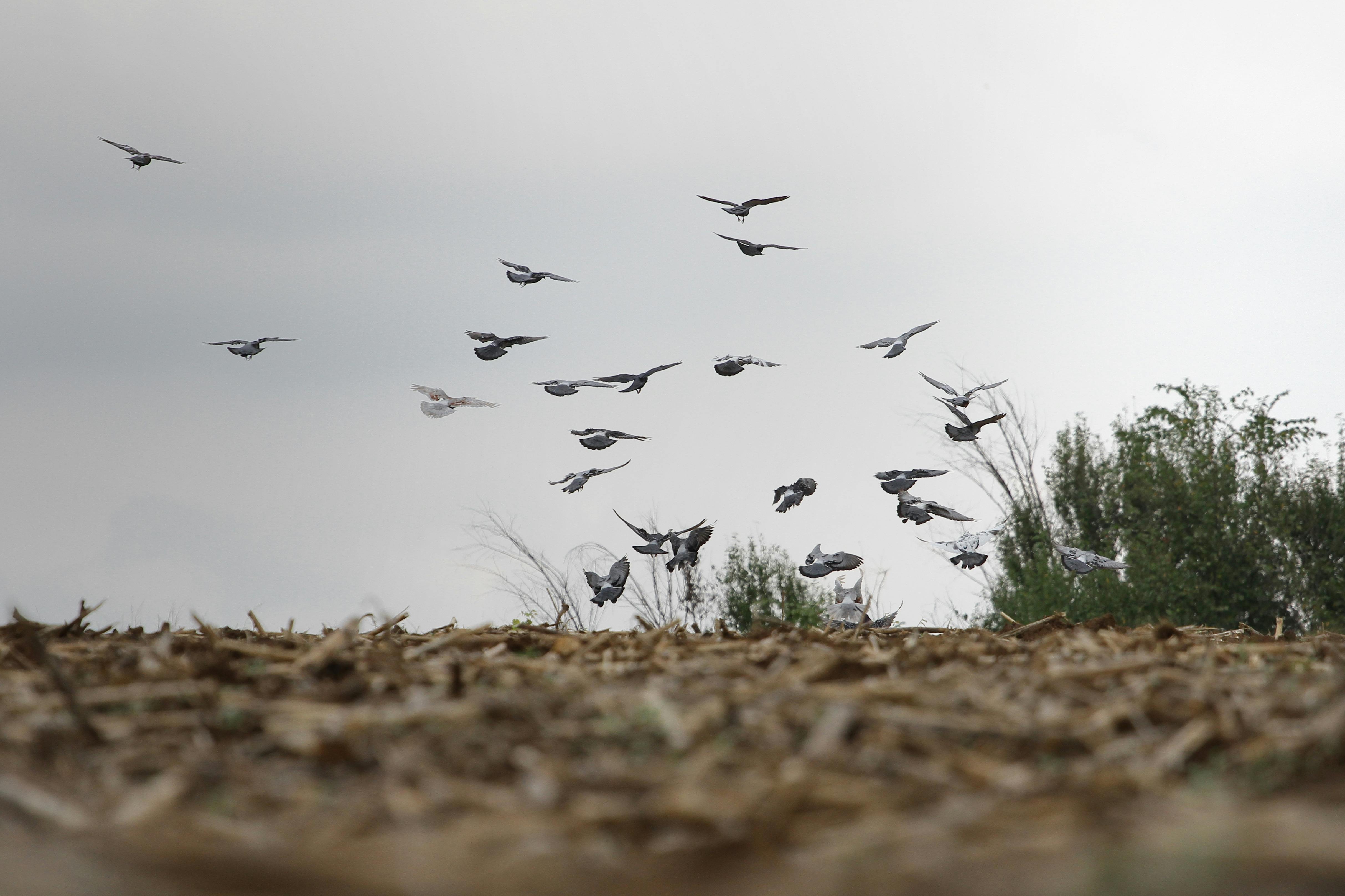 Georgi Kanov - Photography