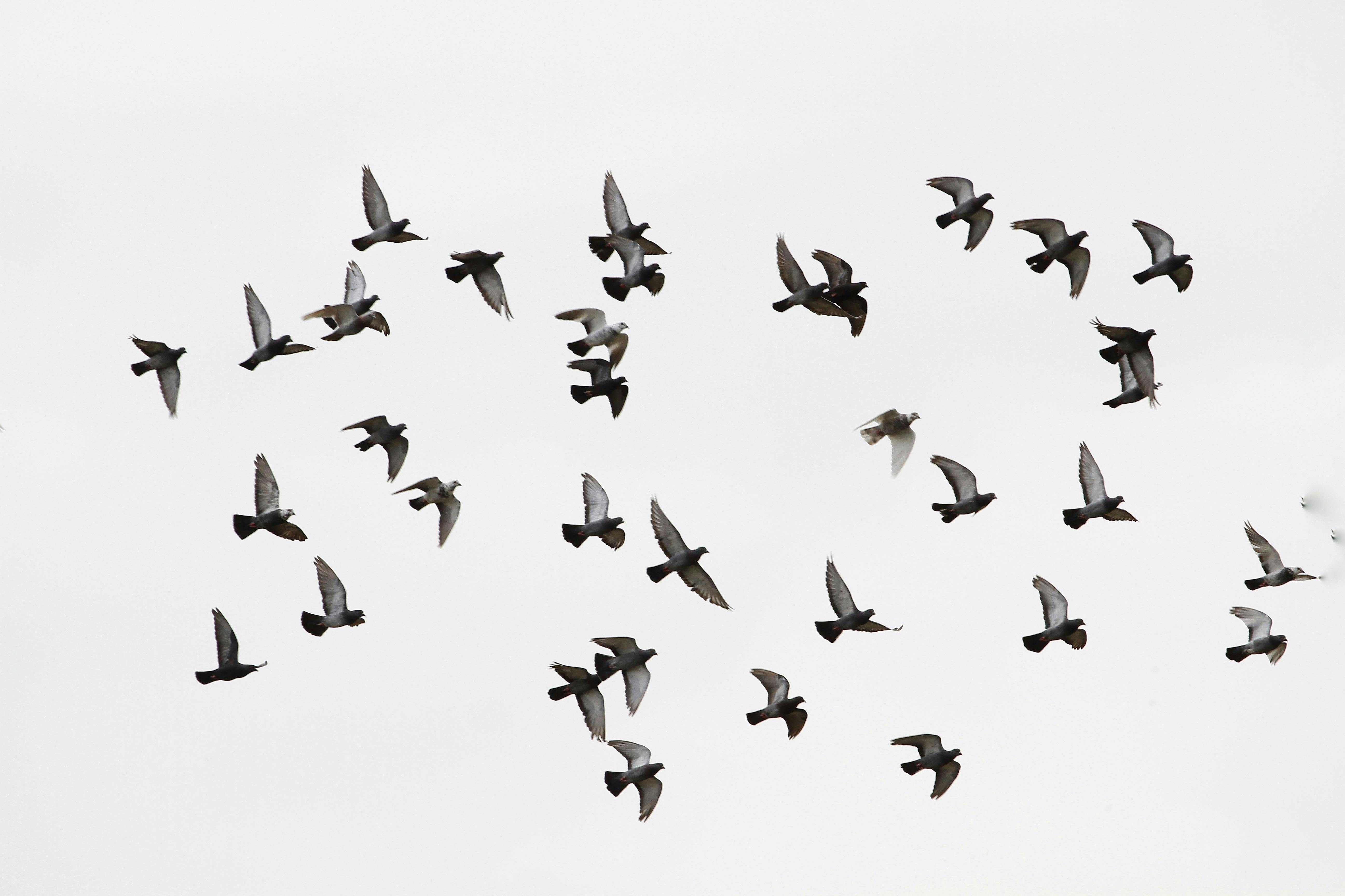 Georgi Kanov - Photography