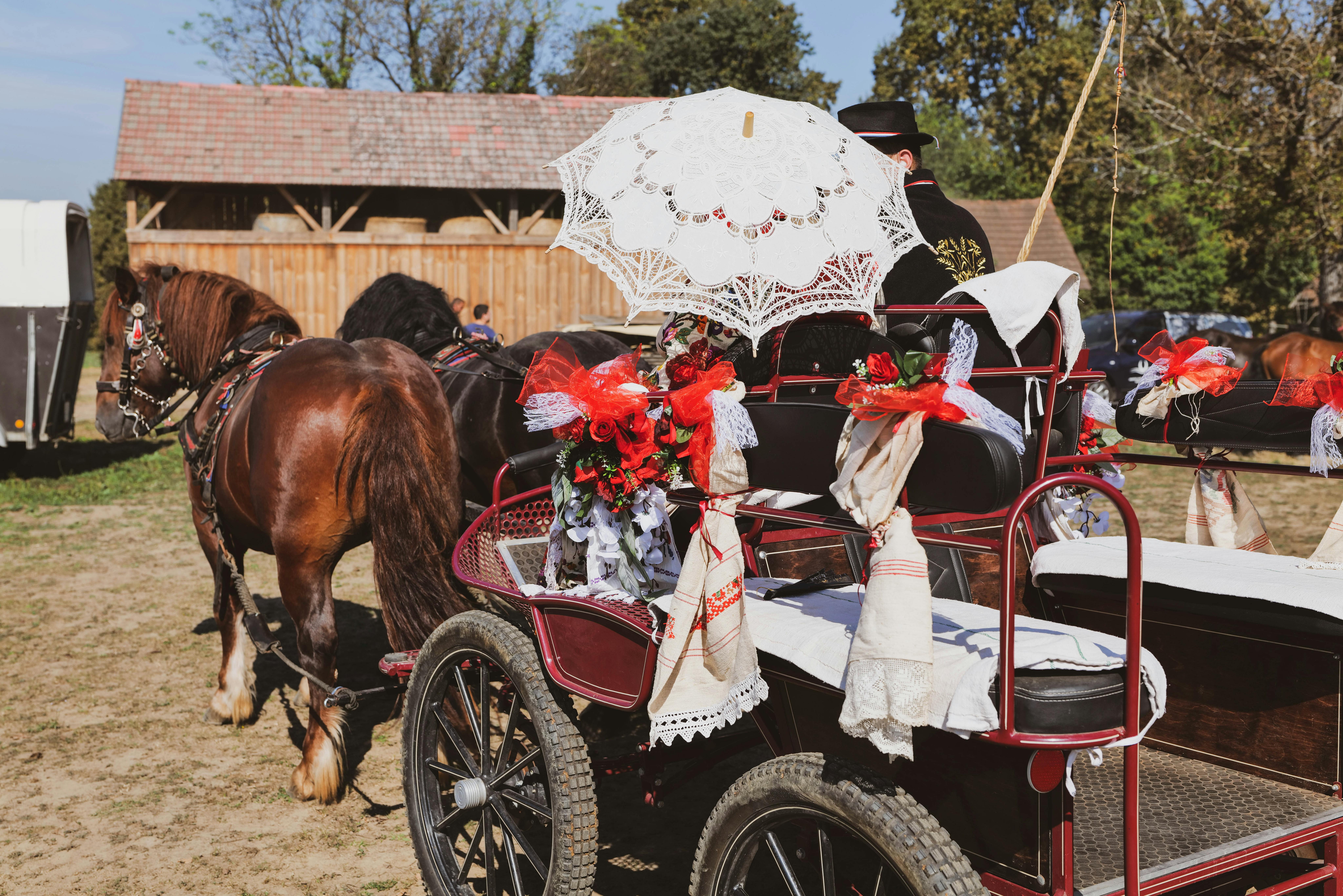 Decorated Carriage in Countryside · Free Stock Photo