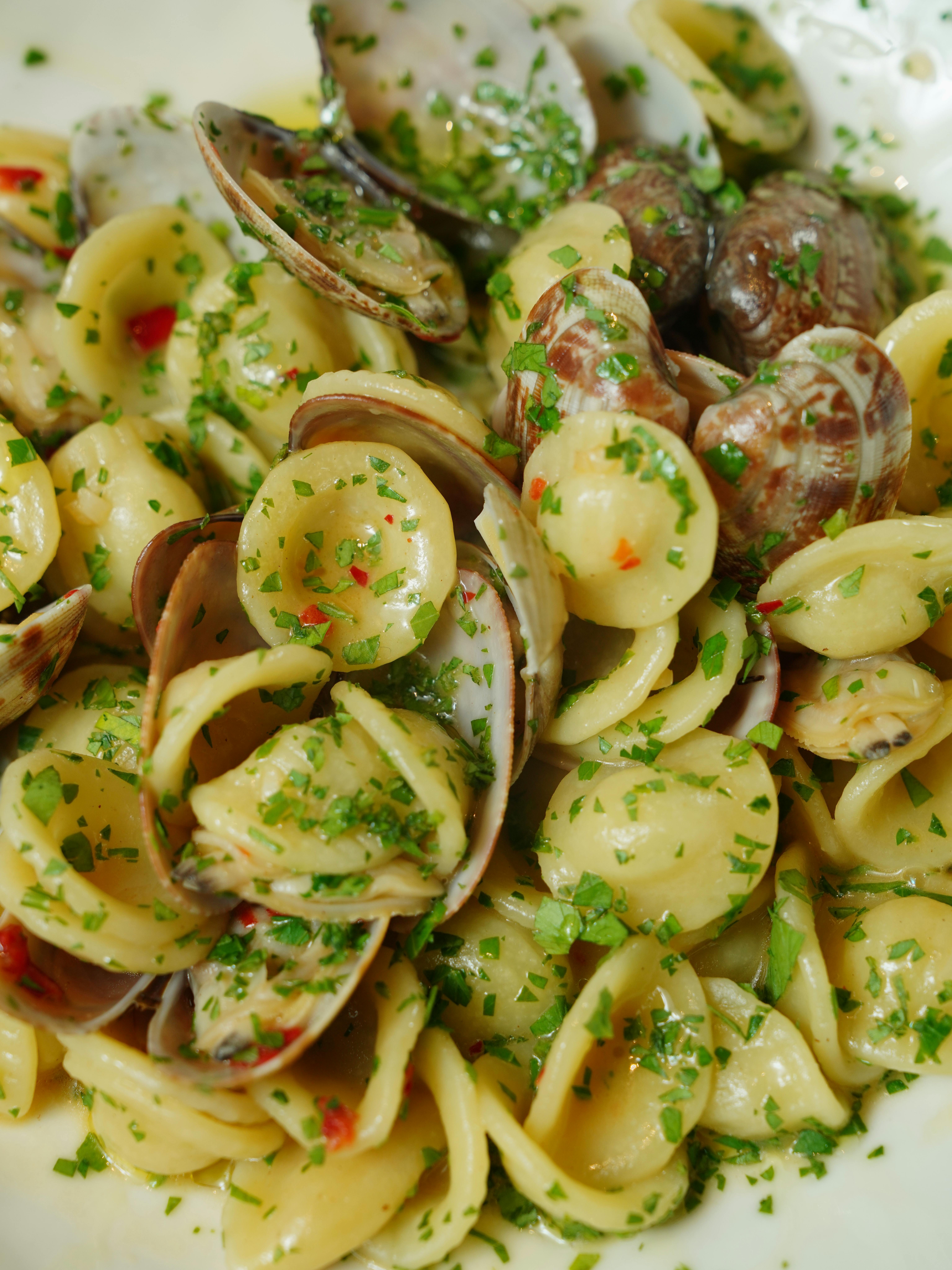 Pasta with Clams · Free Stock Photo