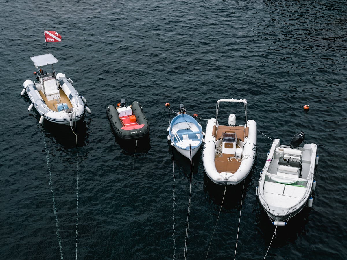 Banner Images Photos, Download The BEST Free Banner Images Stock Photos ...