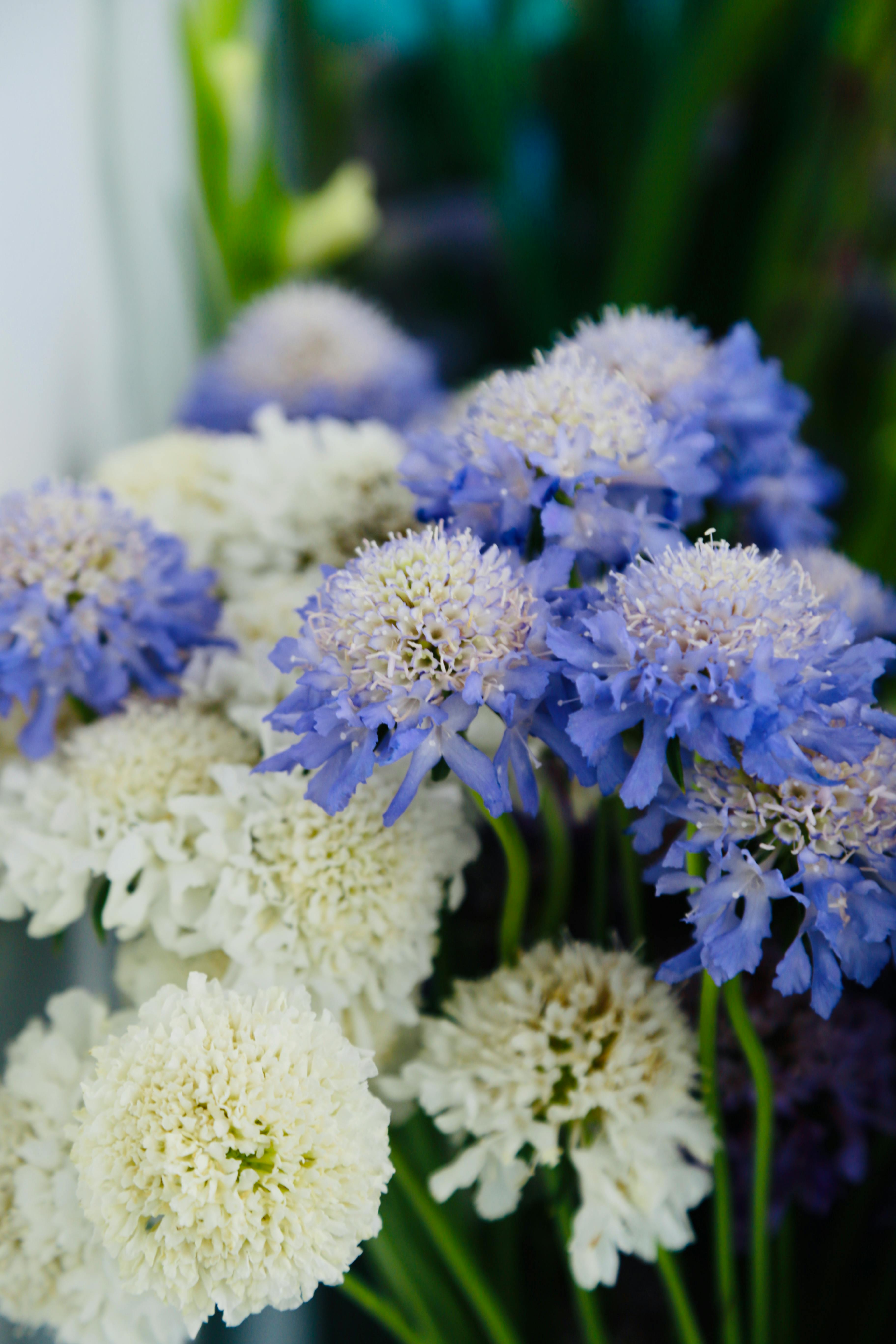 Andy Lee - Photography