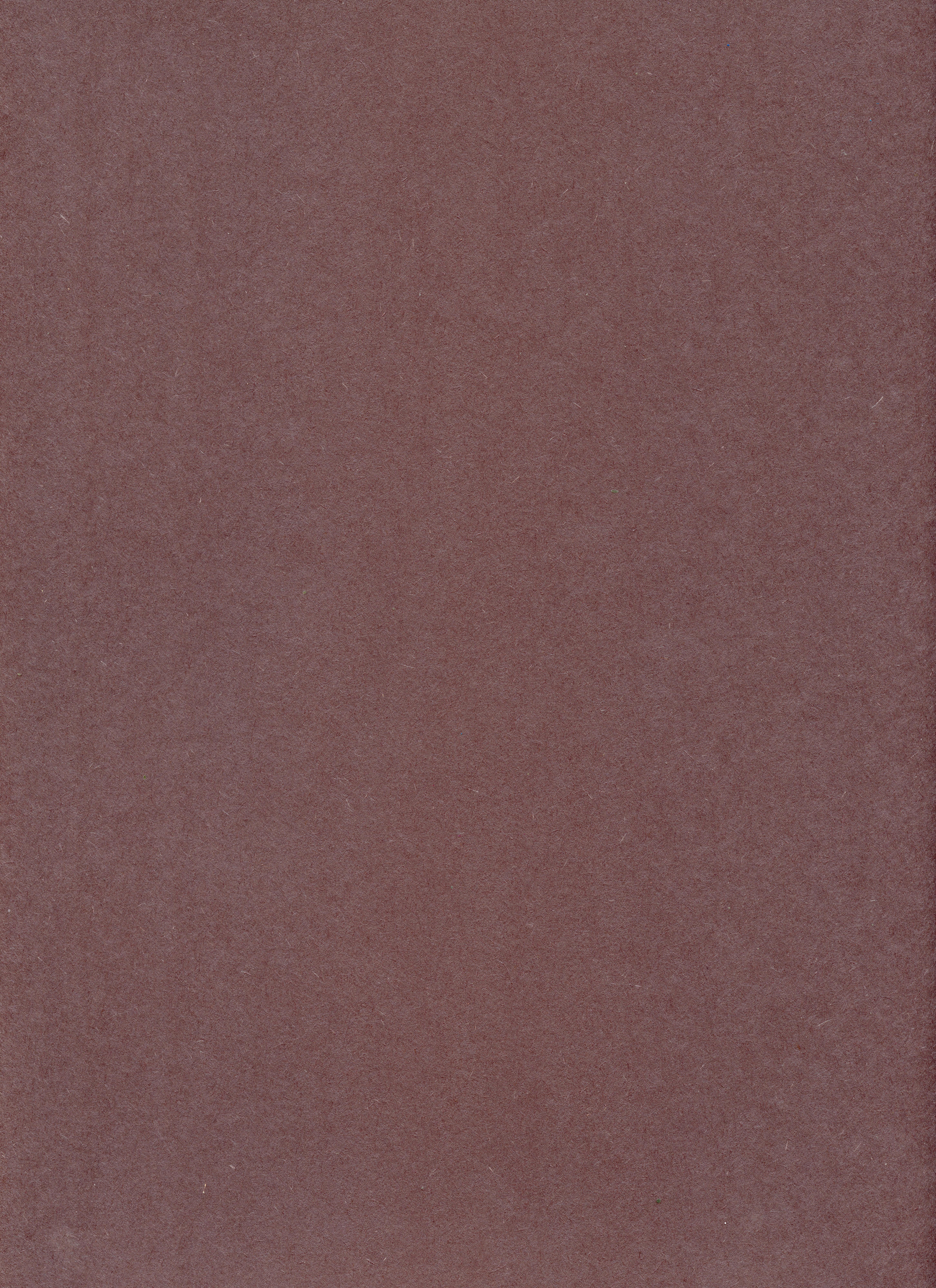 Purple Construction Paper · Free Stock Photo