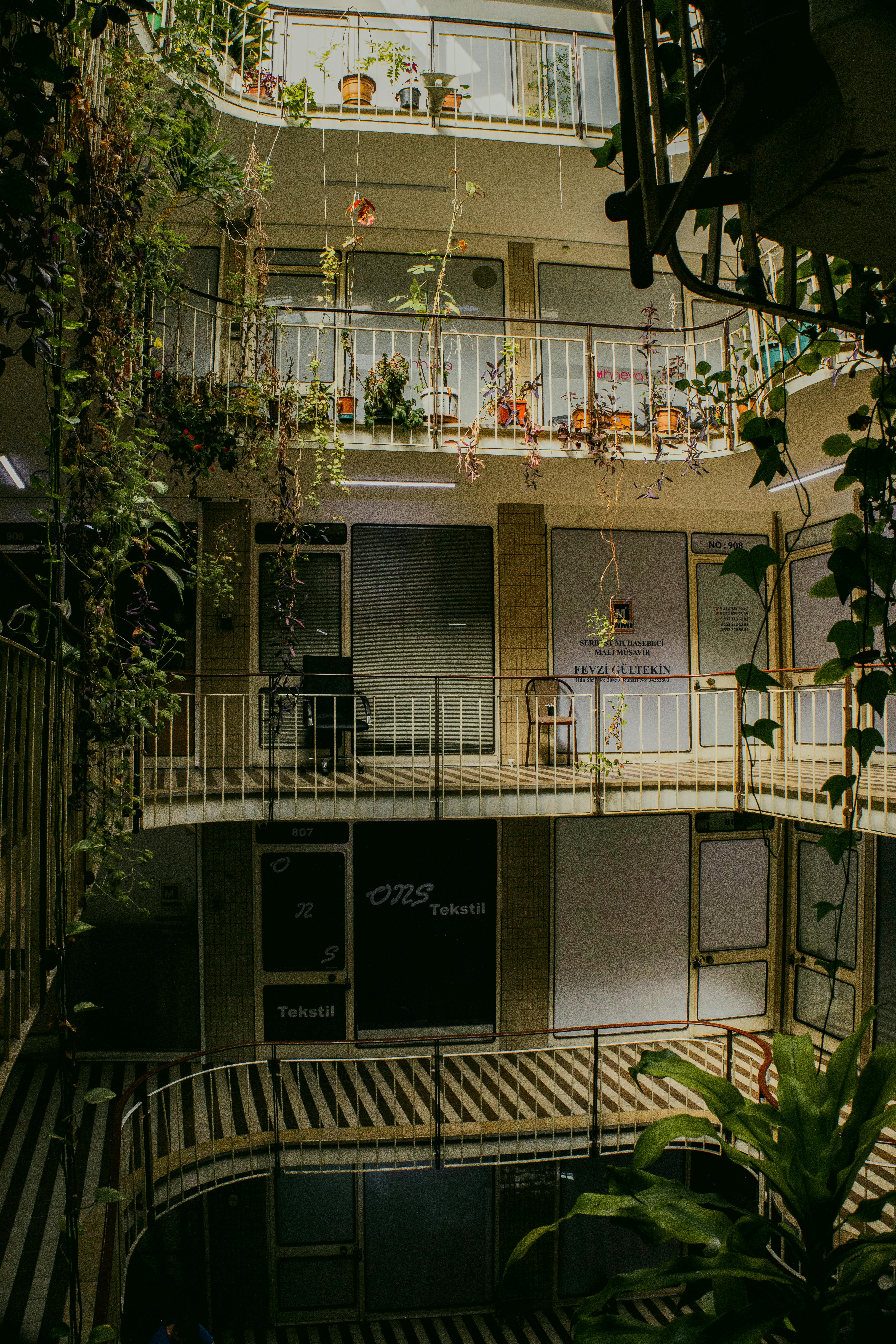 Domestic Plant Life Photos, Download The BEST Free Domestic Plant Life ...