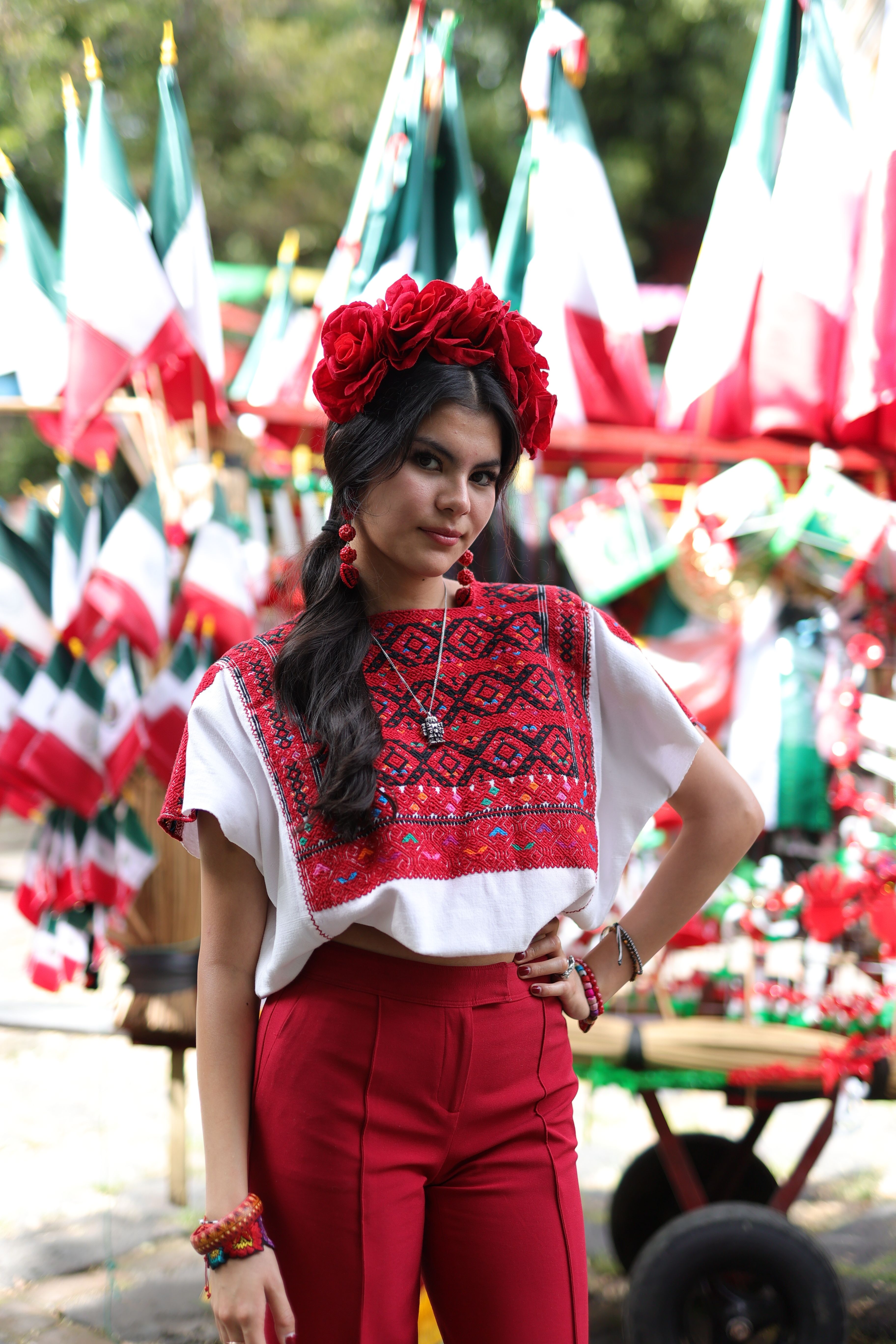 A woman in mexican clothing posing for a photo · Free Stock Photo