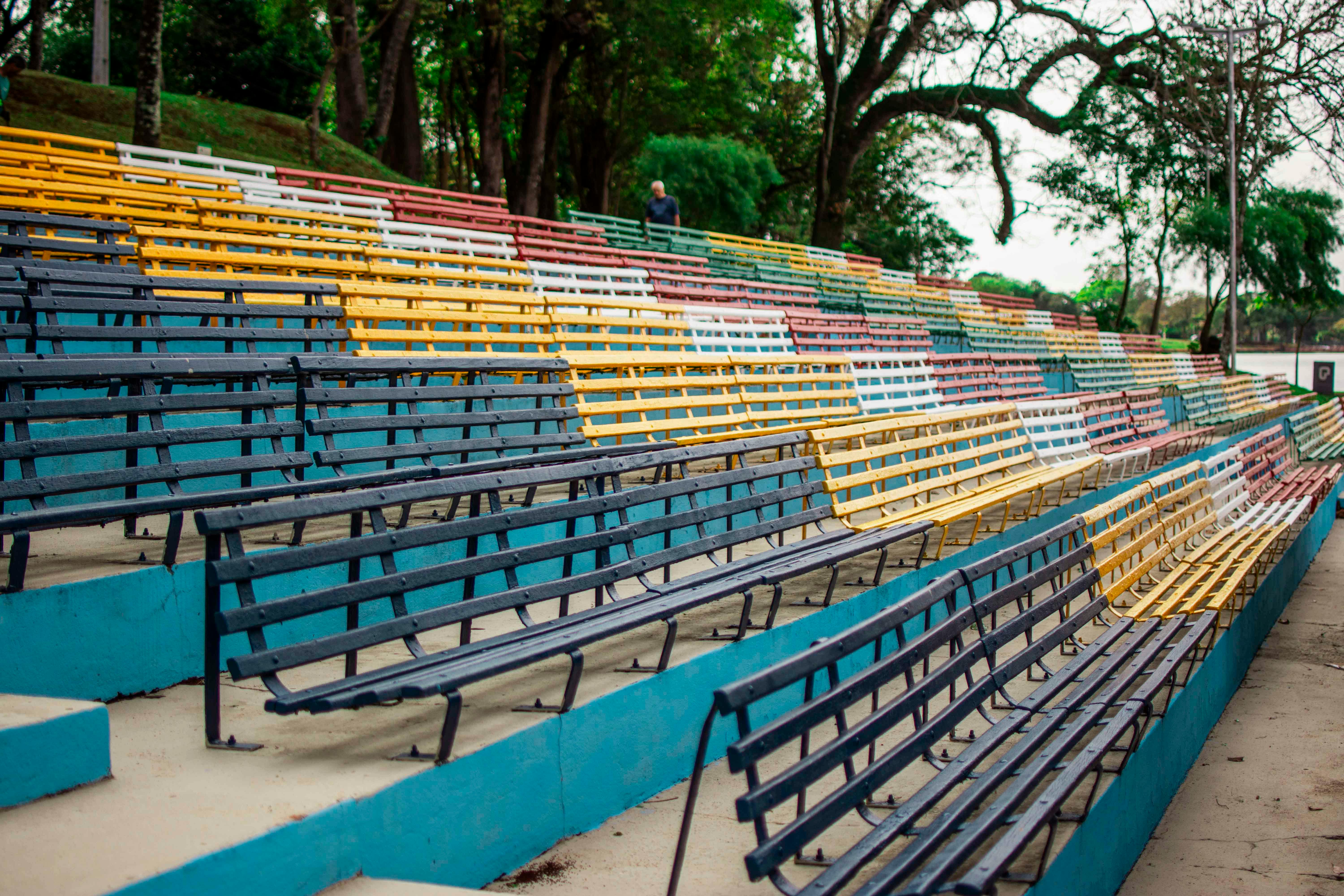 Rows of Benches in a Park · Free Stock Photo