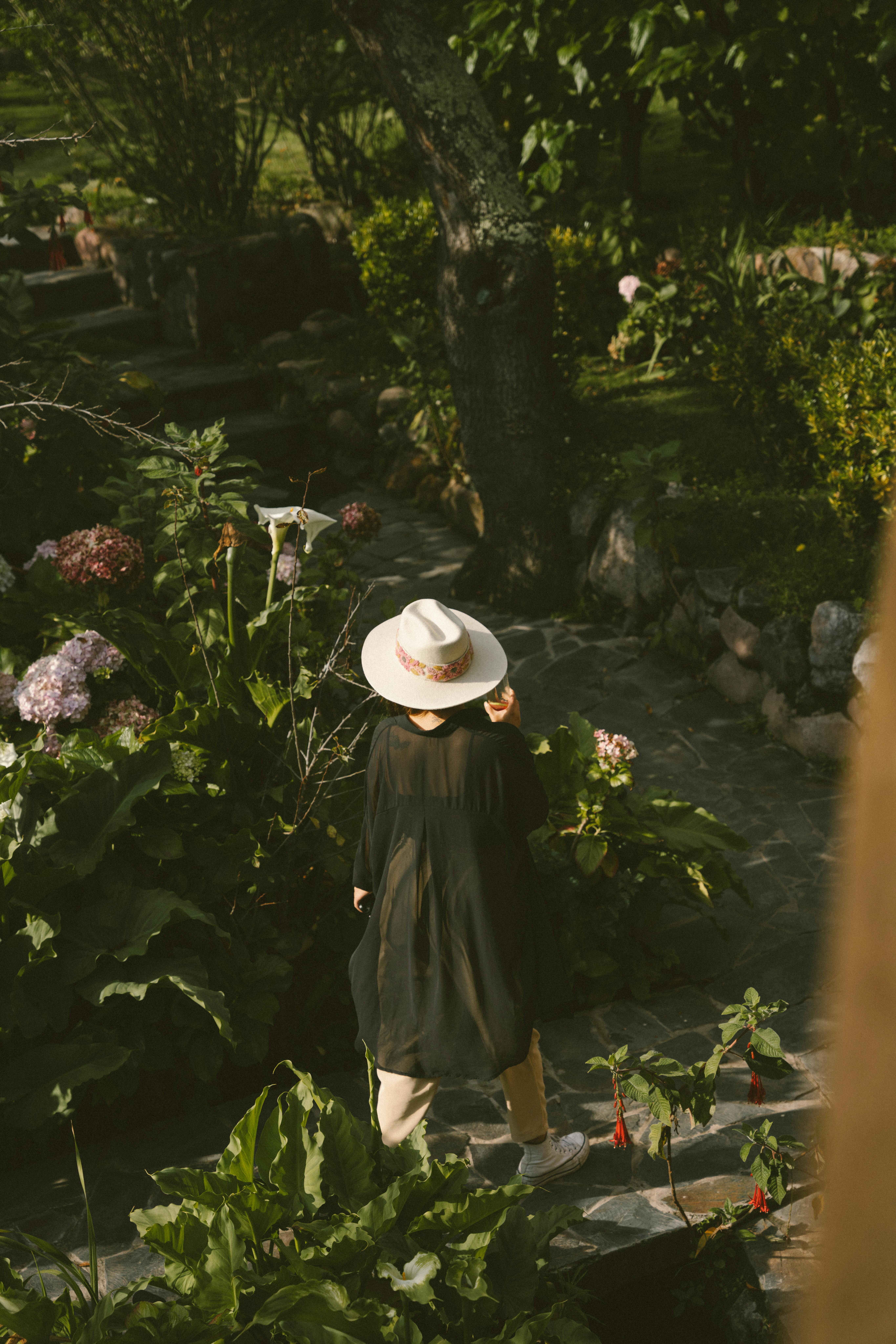 Foto de stock gratuita sobre blanco, flora, flores, garden, gorro, hat, jardín, mujer, ramas ...
