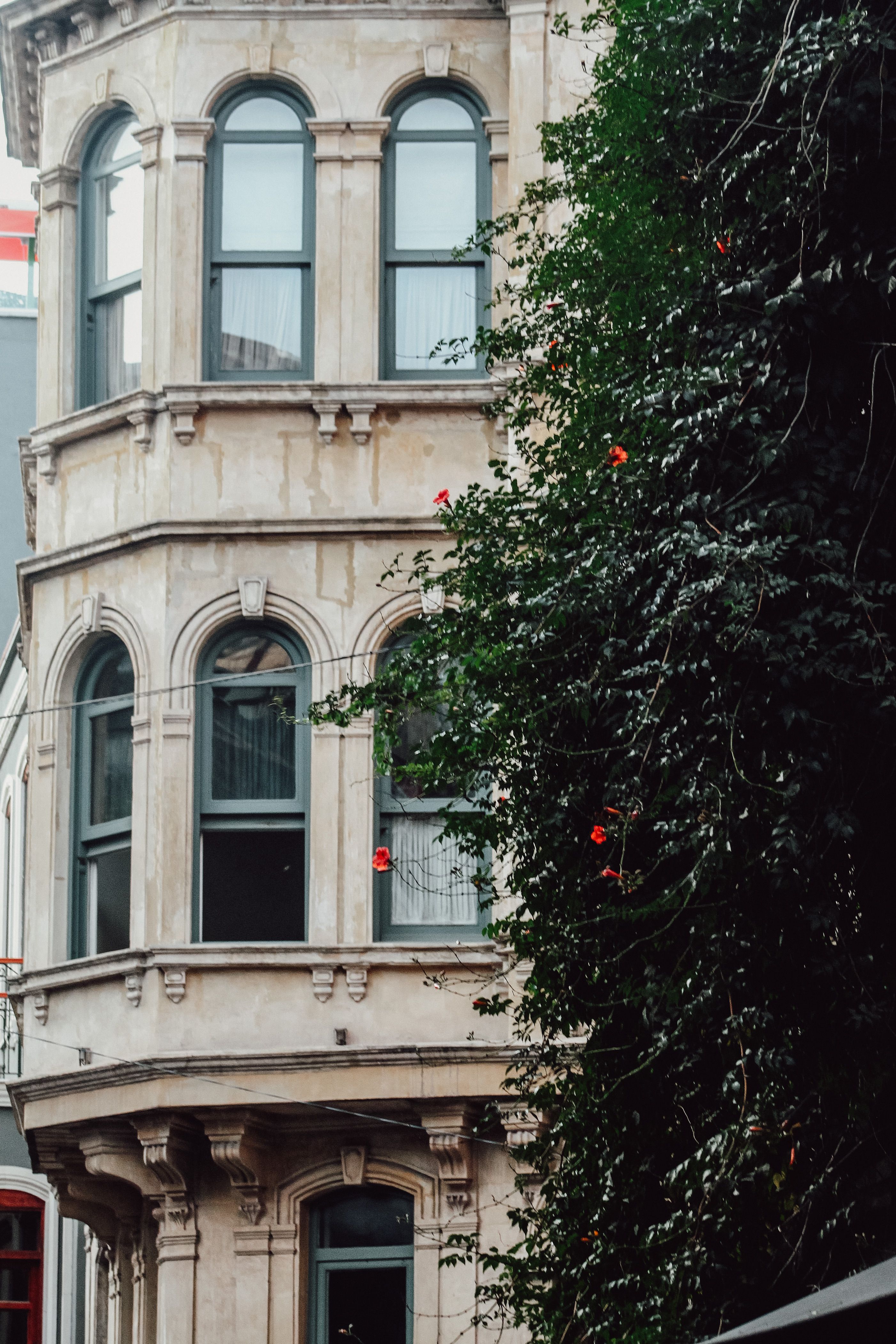 Windows in a Building in Brooklyn · Free Stock Photo