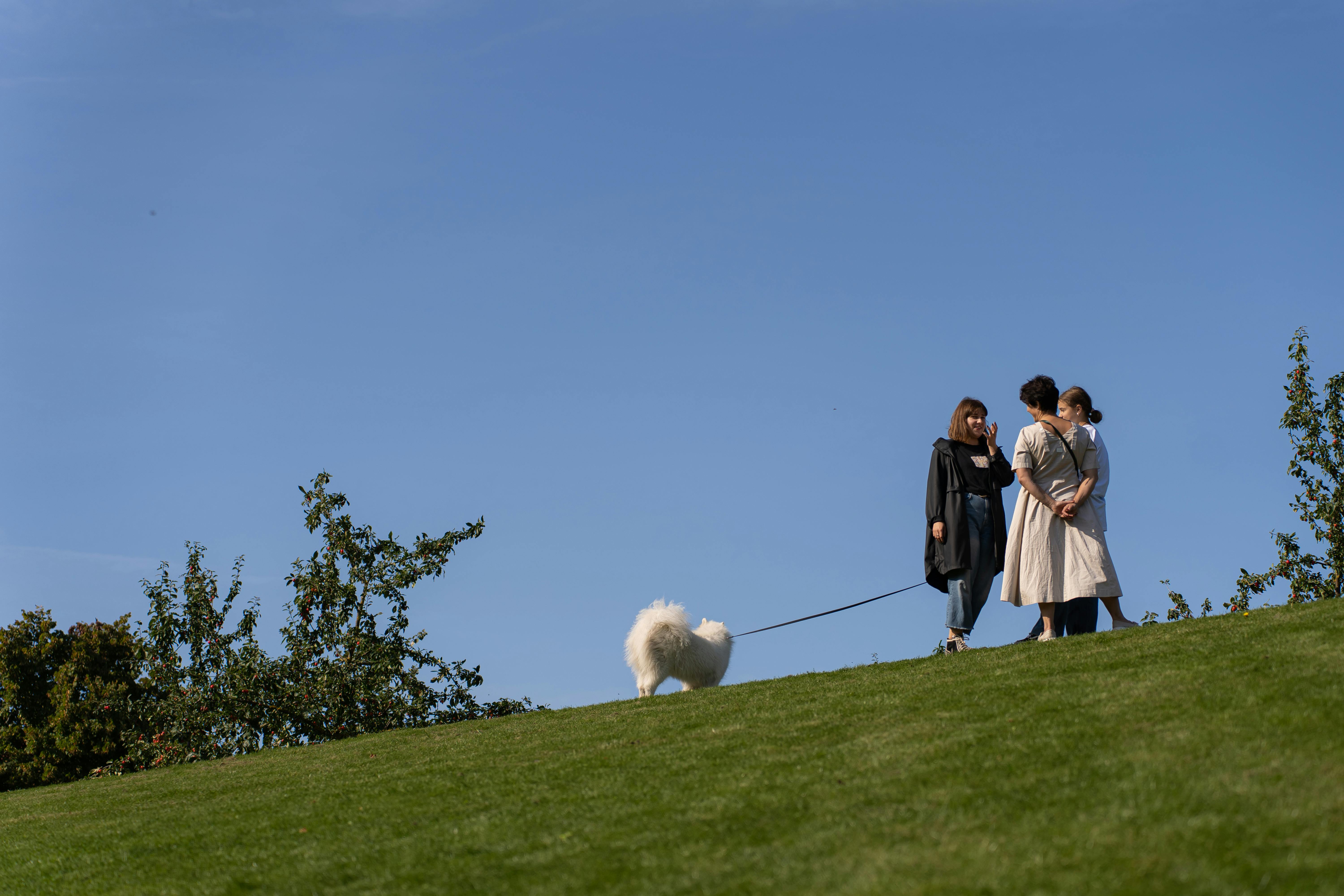 Easyanticheat Setup.Exe Nytt Tiere Photos, Download The BEST Free ...