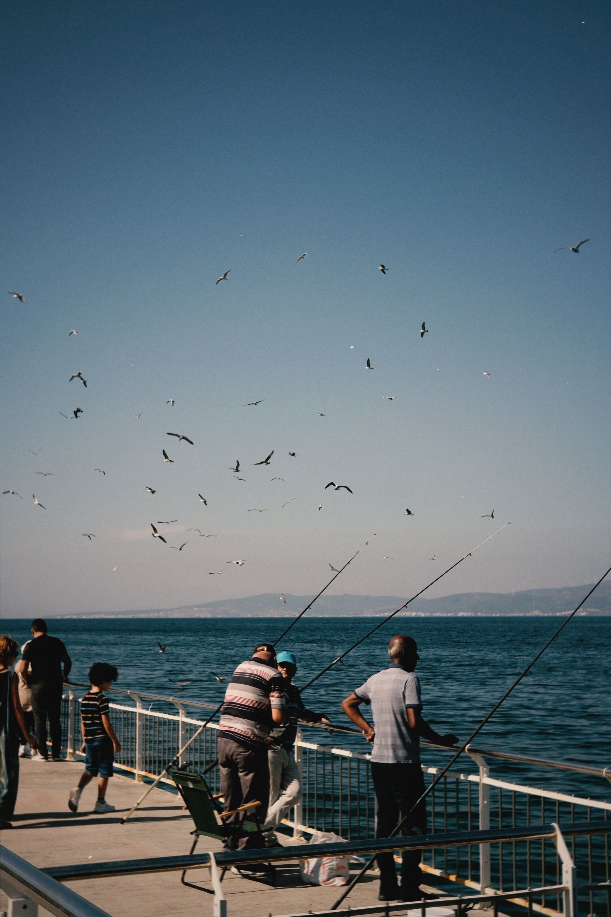 People Fishing from a Pier · Free Stock Photo
