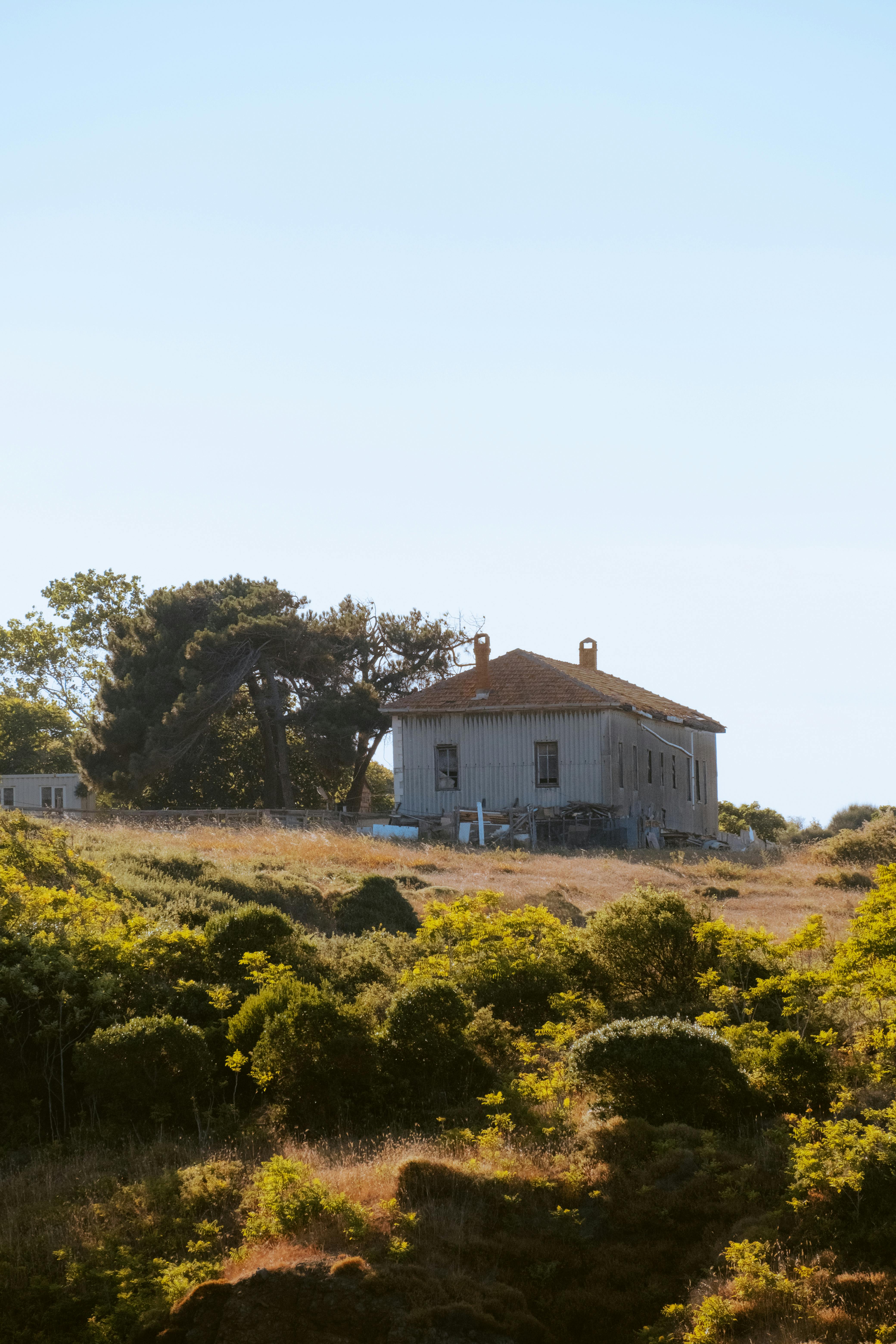 Goofy House Photos, Download The BEST Free Goofy House Stock Photos ...