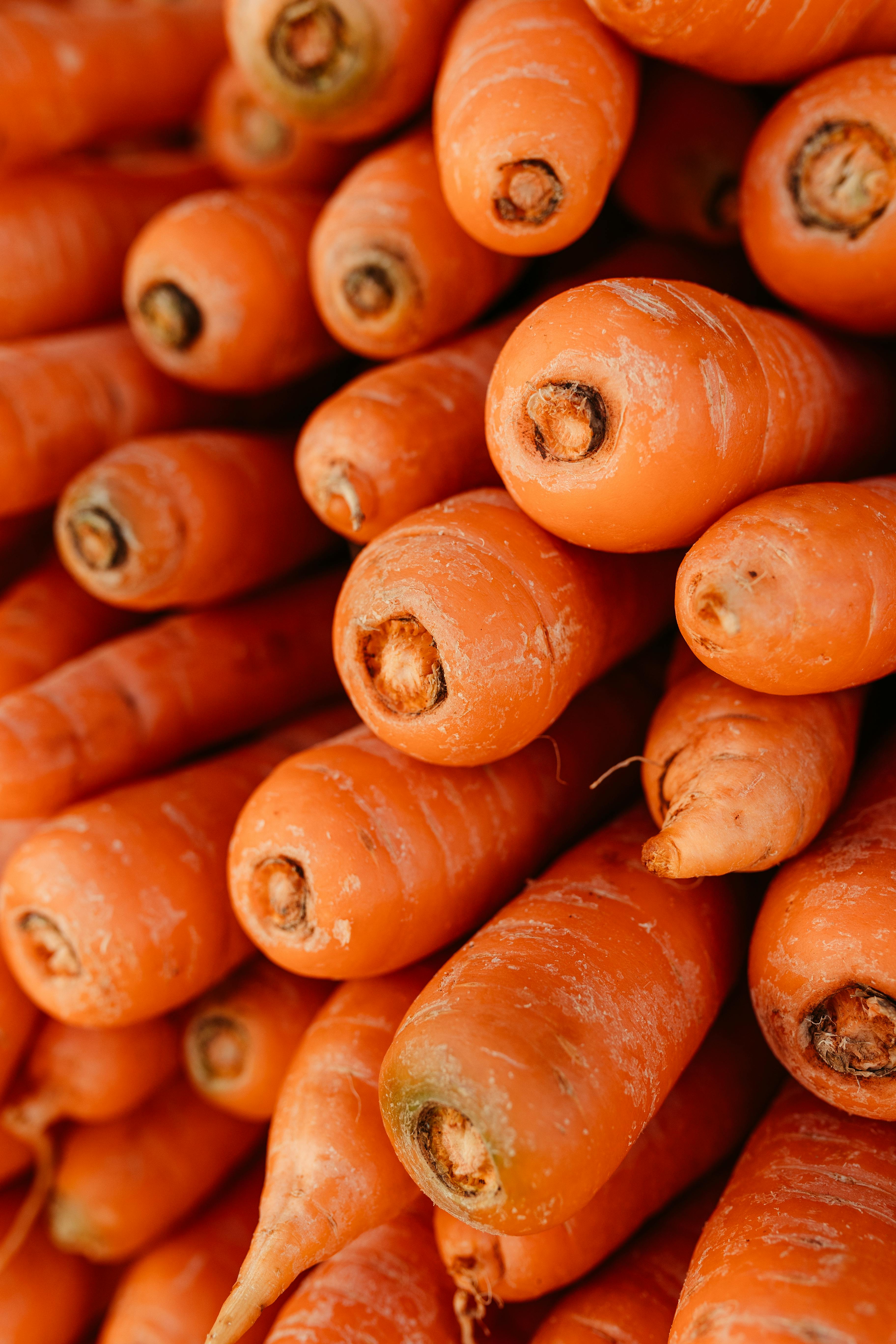 Close up of Carrots · Free Stock Photo