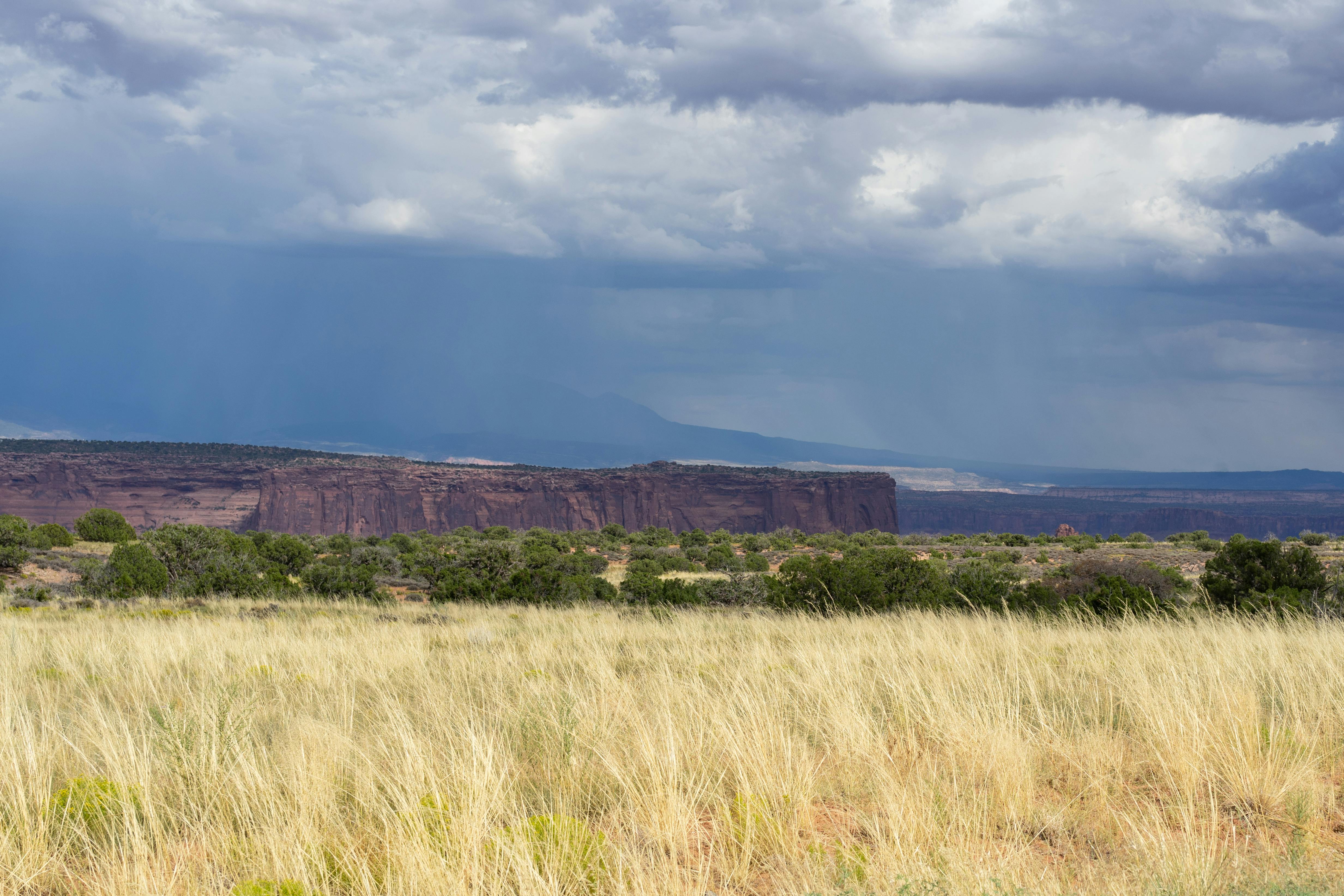 Tiff Format Photos, Download The BEST Free Tiff Format Stock Photos ...