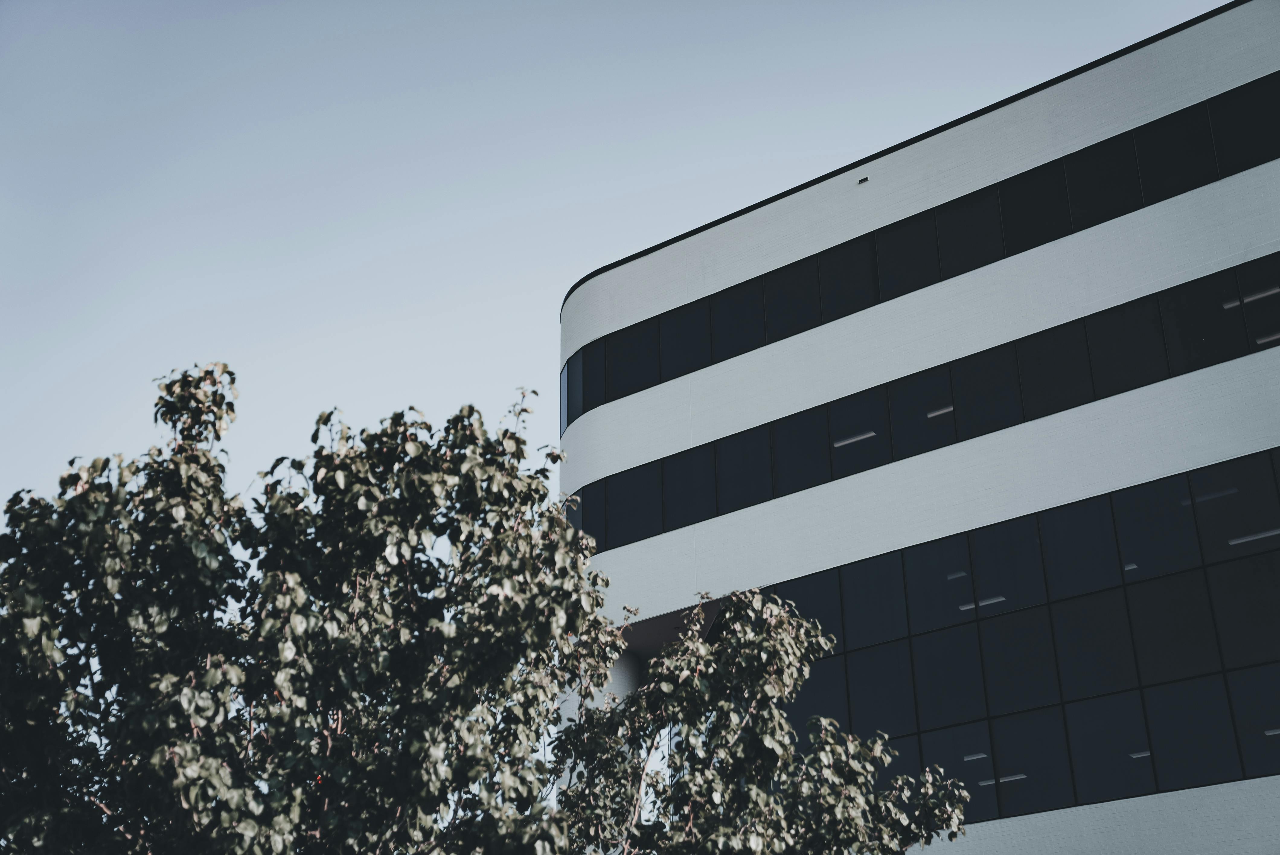 Trees Meeting Buildings Photos, Download The BEST Free Trees Meeting ...