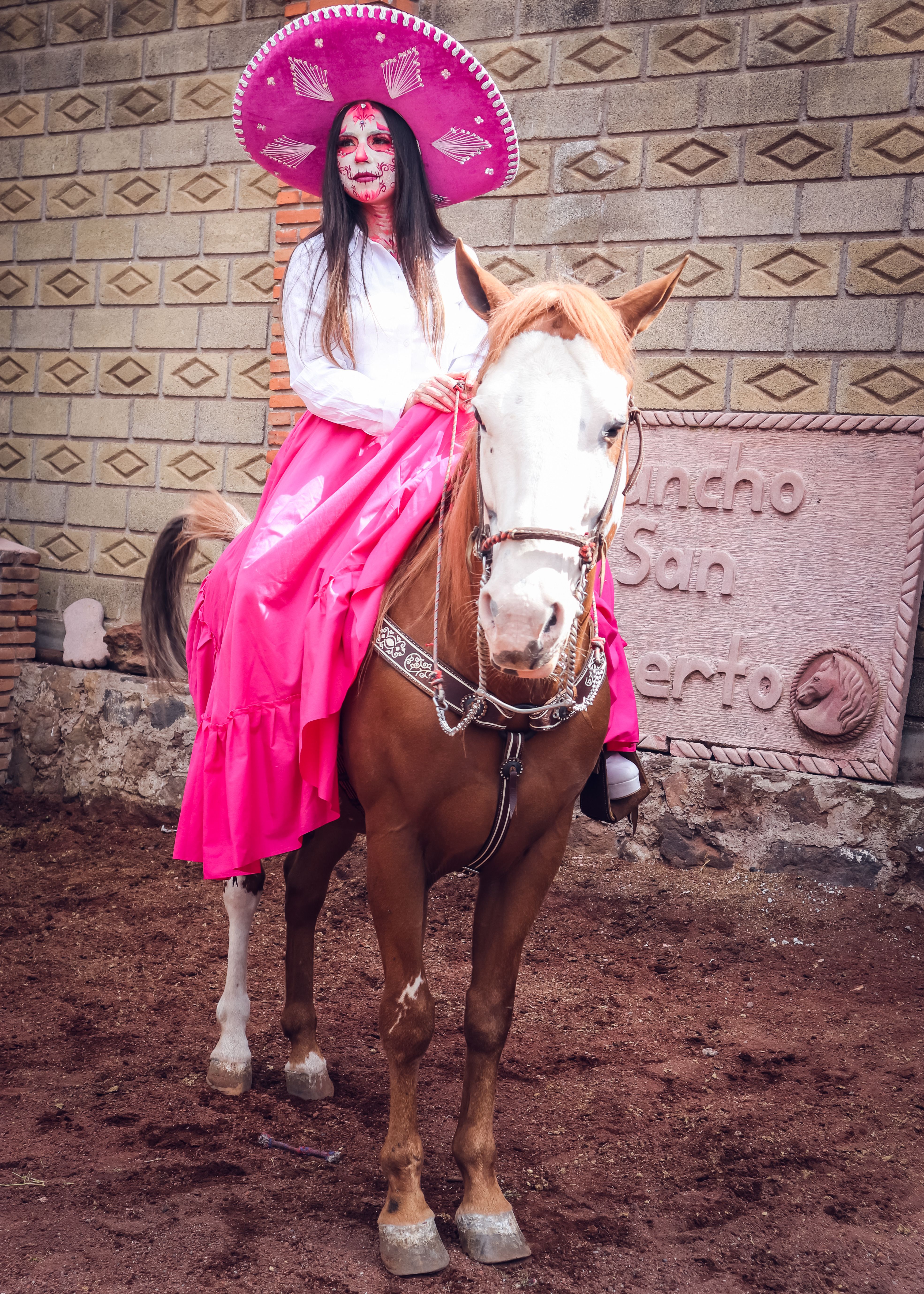 Caballo Muerto Photos, Download The BEST Free Caballo Muerto Stock ...