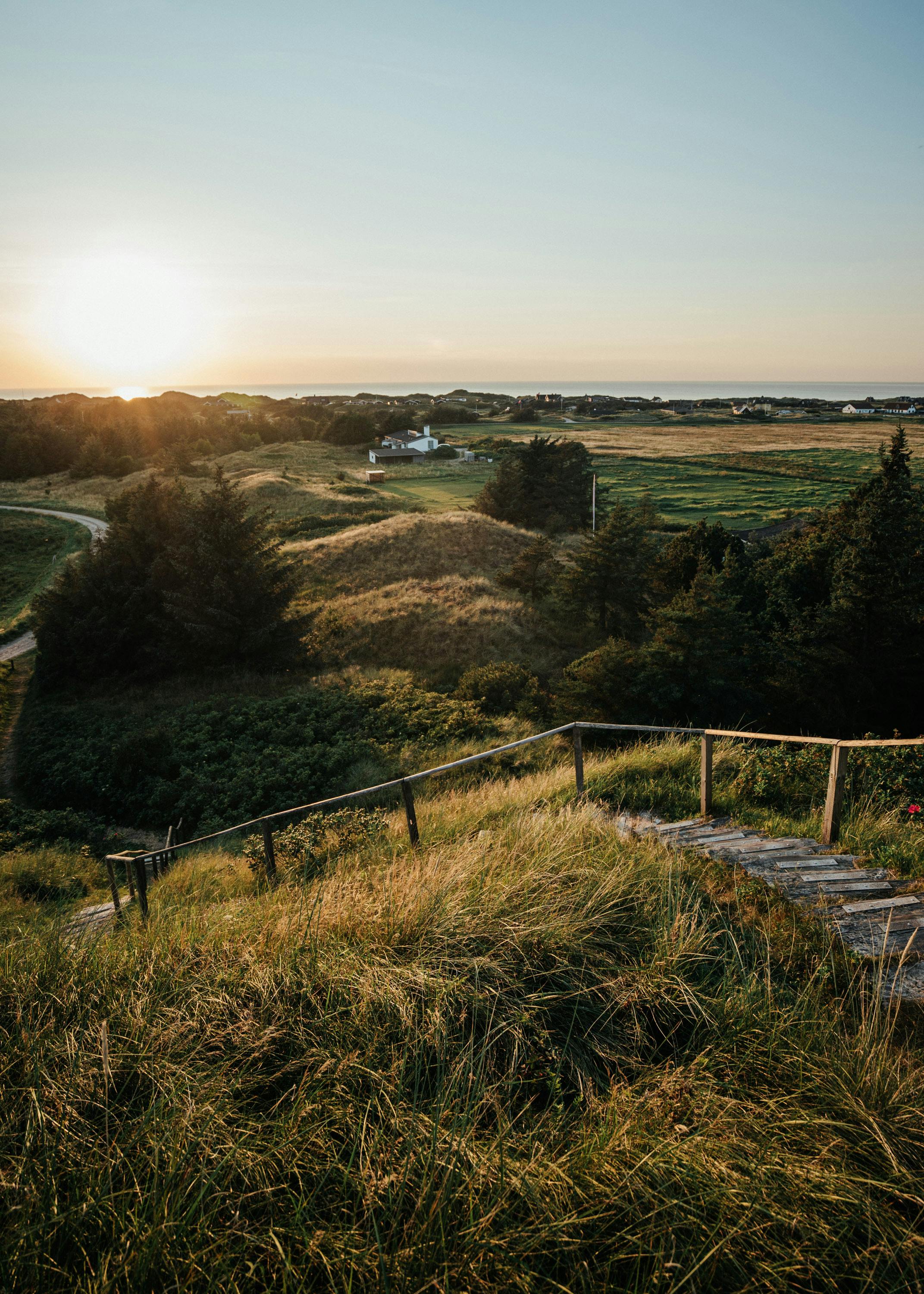 Wooden Footpath and Mountain behind · Free Stock Photo