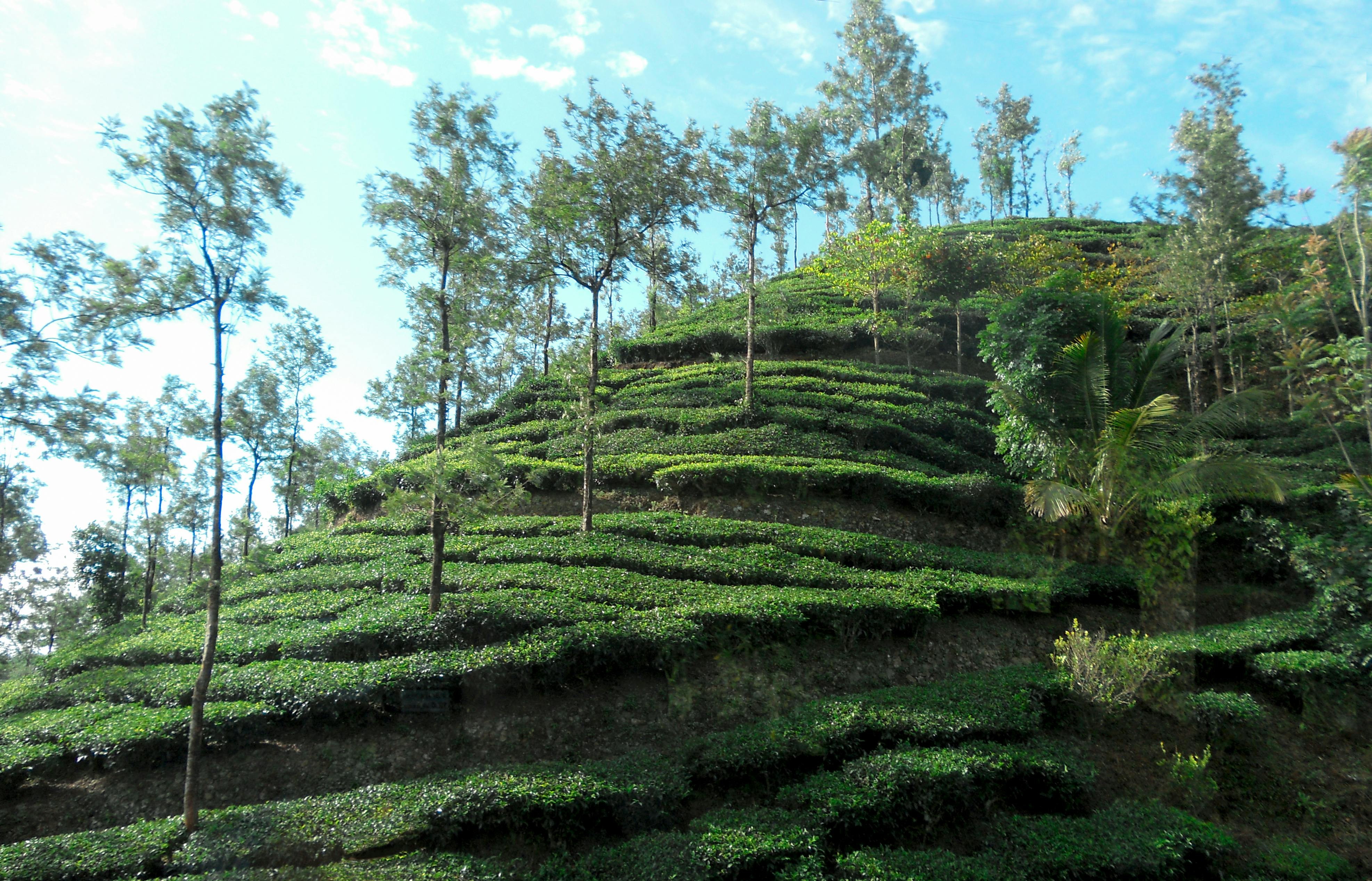 Colin Dean - Photography