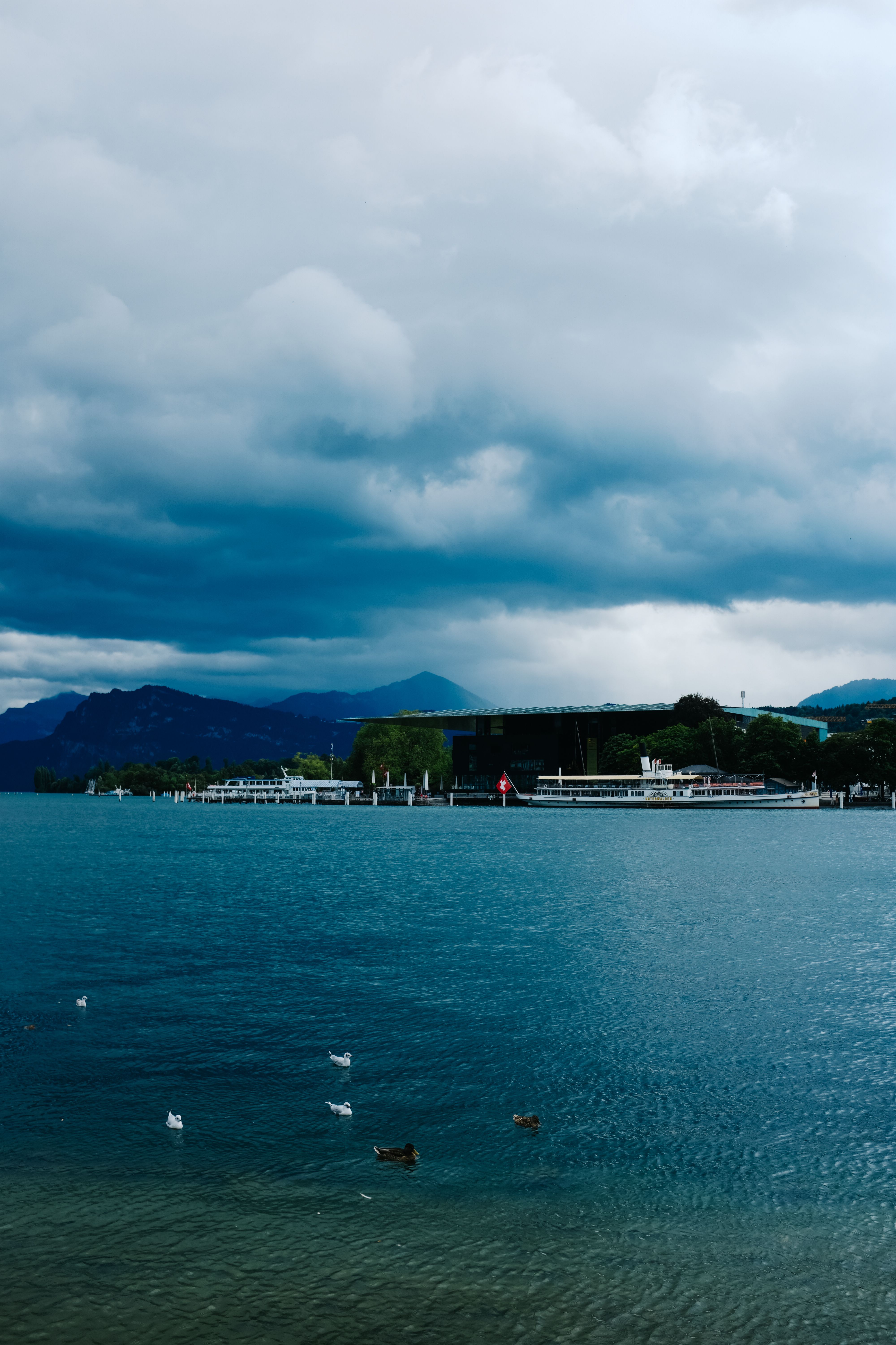 Overcast over Lake · Free Stock Photo