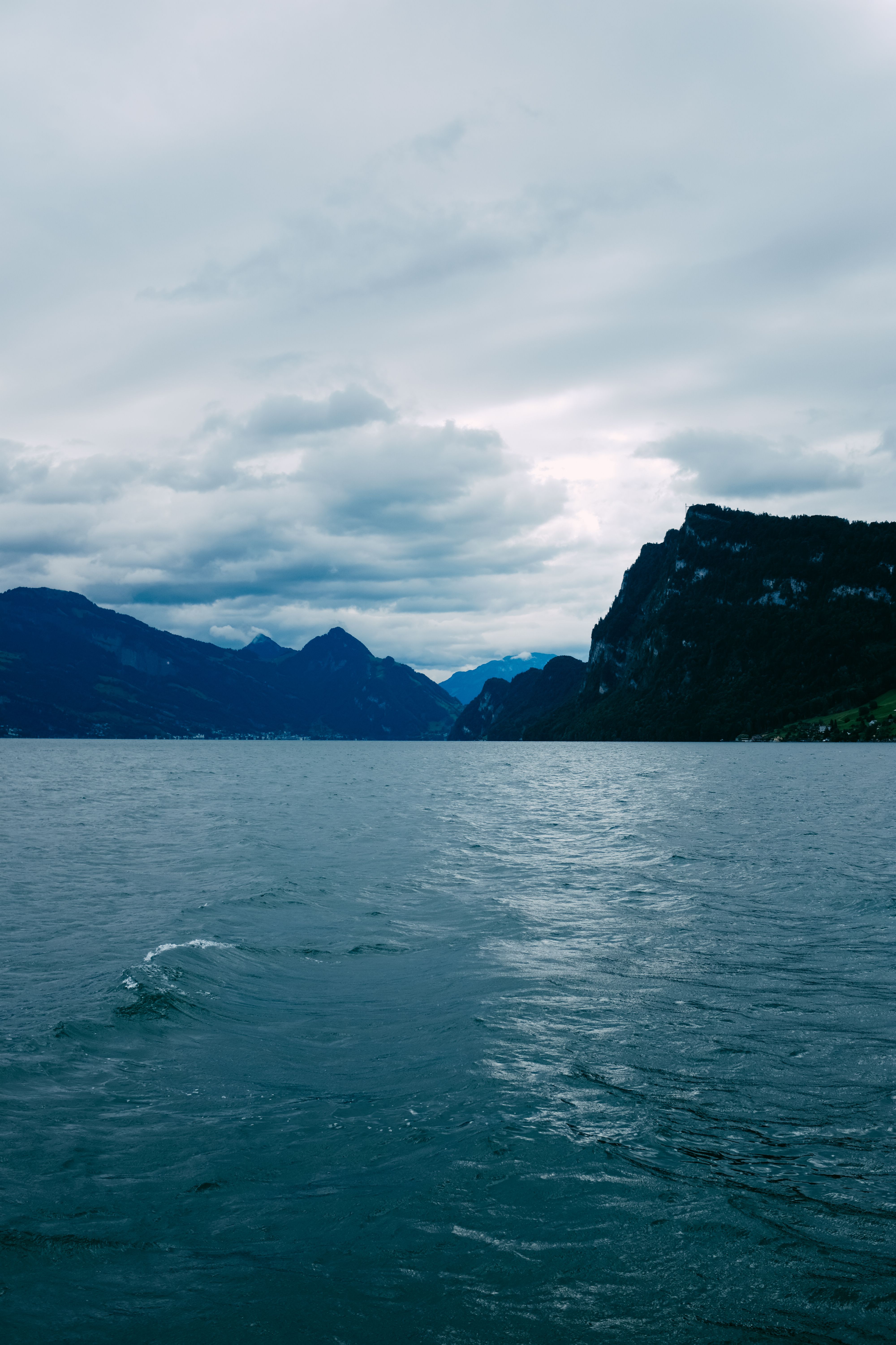 Blue Indigo Photos, Download The BEST Free Blue Indigo Stock Photos ...