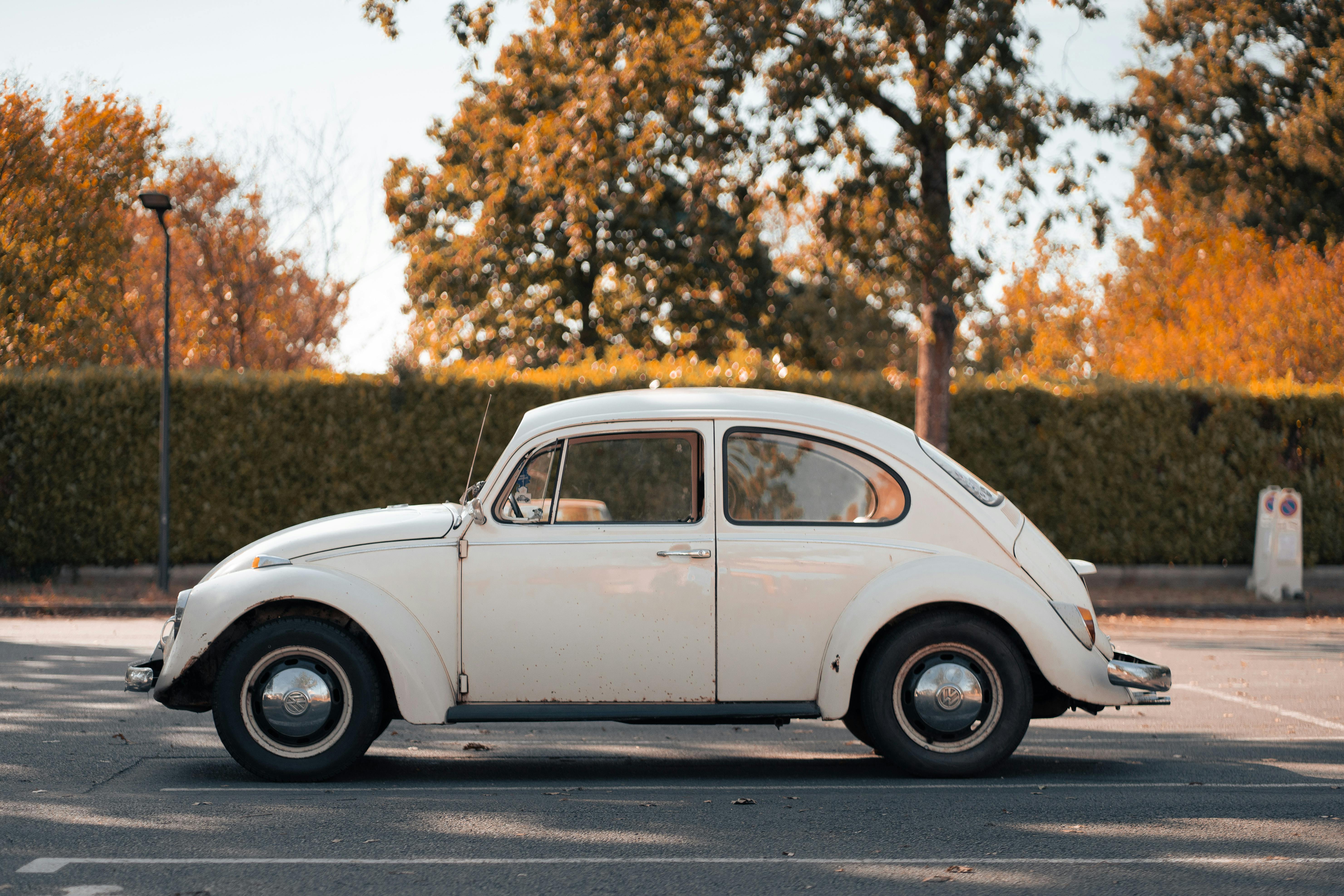 White VW Beetle in Parking · Free Stock Photo