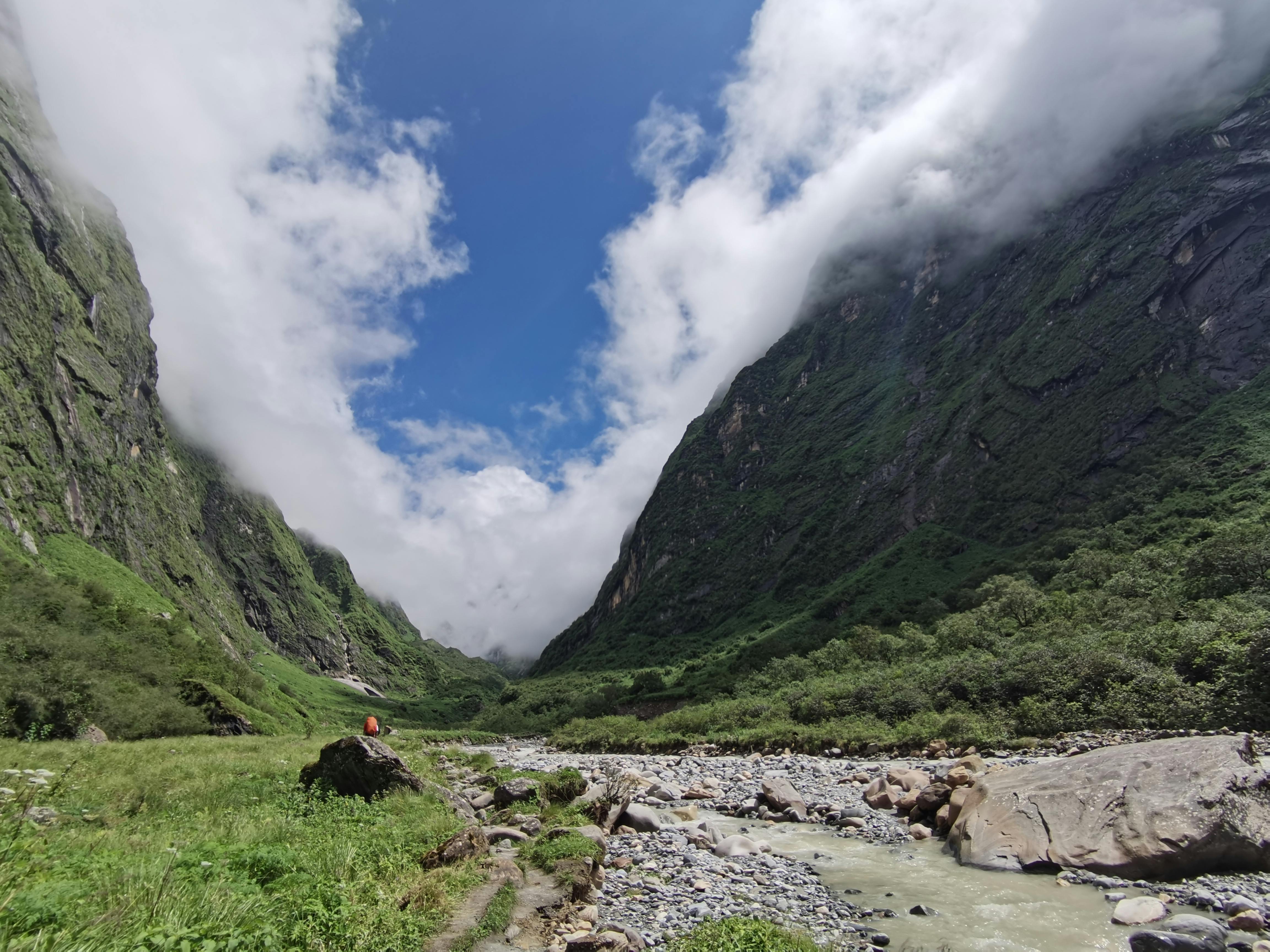 Lan Yao - Photography