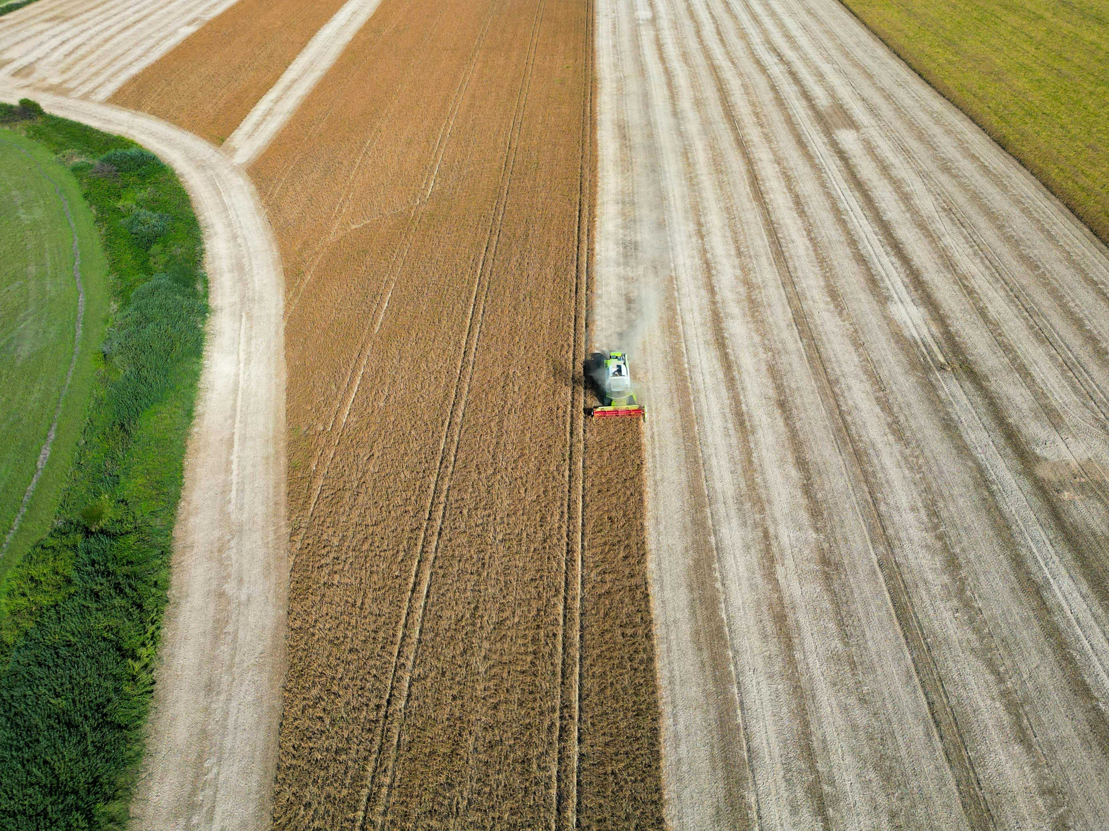 Farm Field Photos, Download The BEST Free Farm Field Stock Photos & HD ...