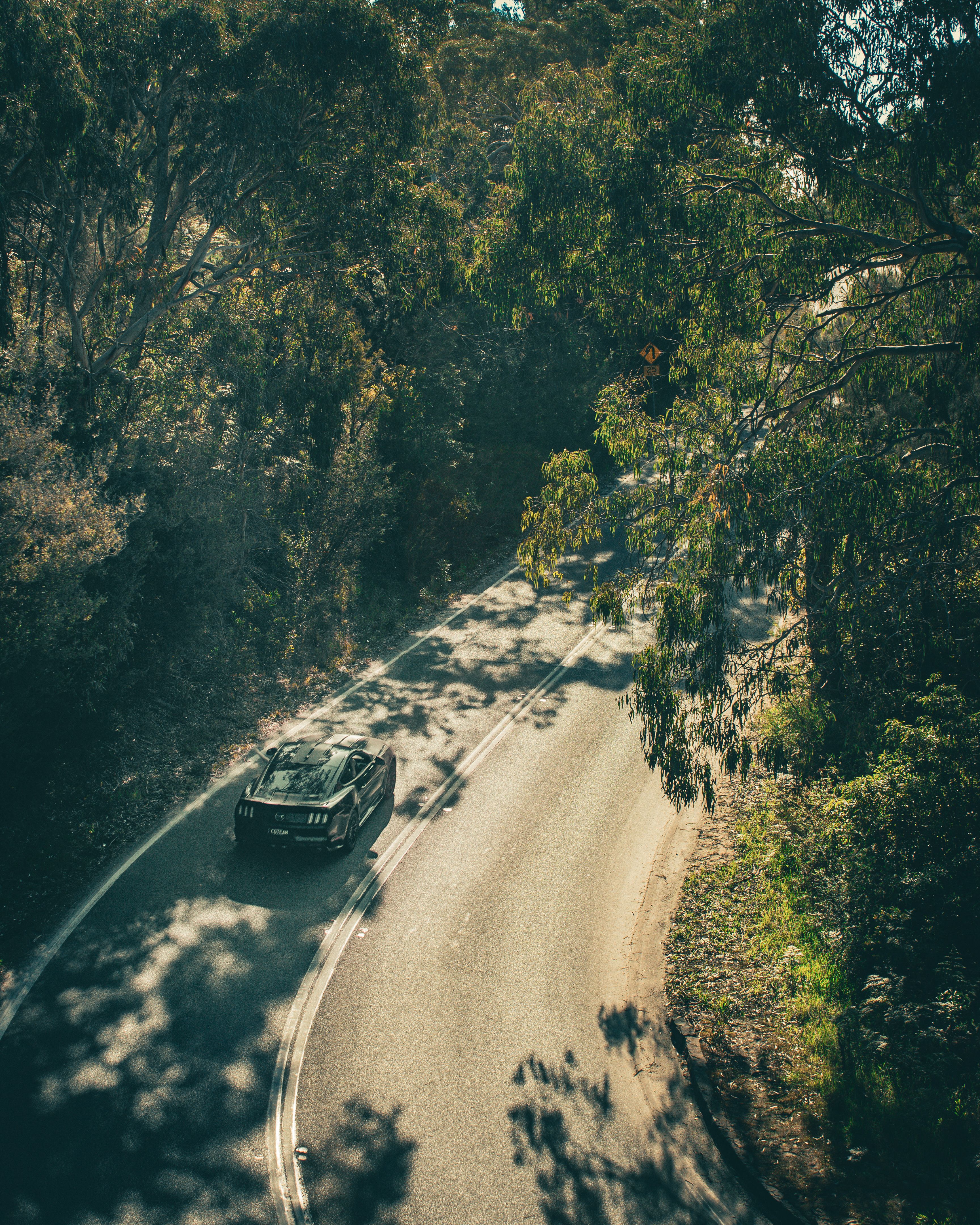 A Ford Mustang Driving on an Asphalt Road between Trees · Free Stock Photo
