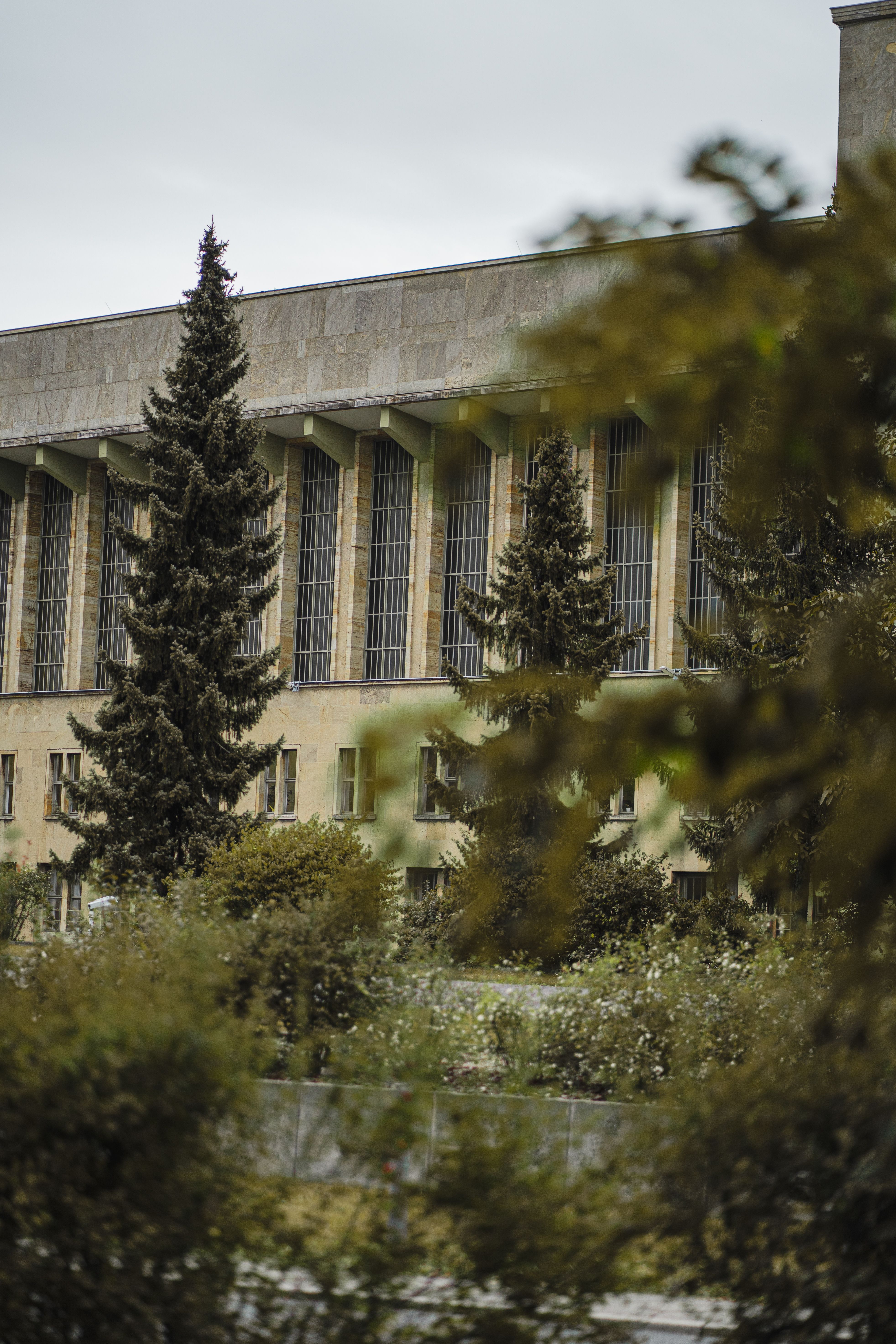 Trees and Building behind · Free Stock Photo
