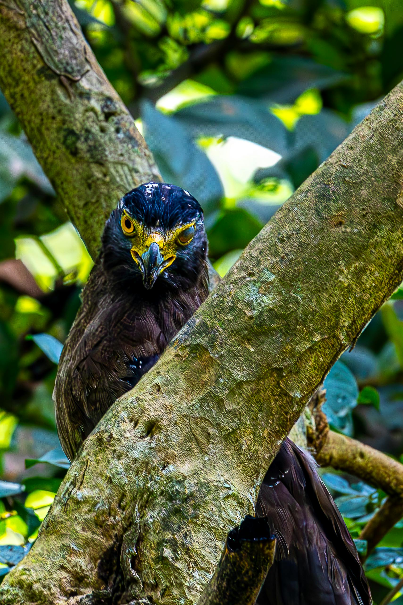 Still Pixels - Photography