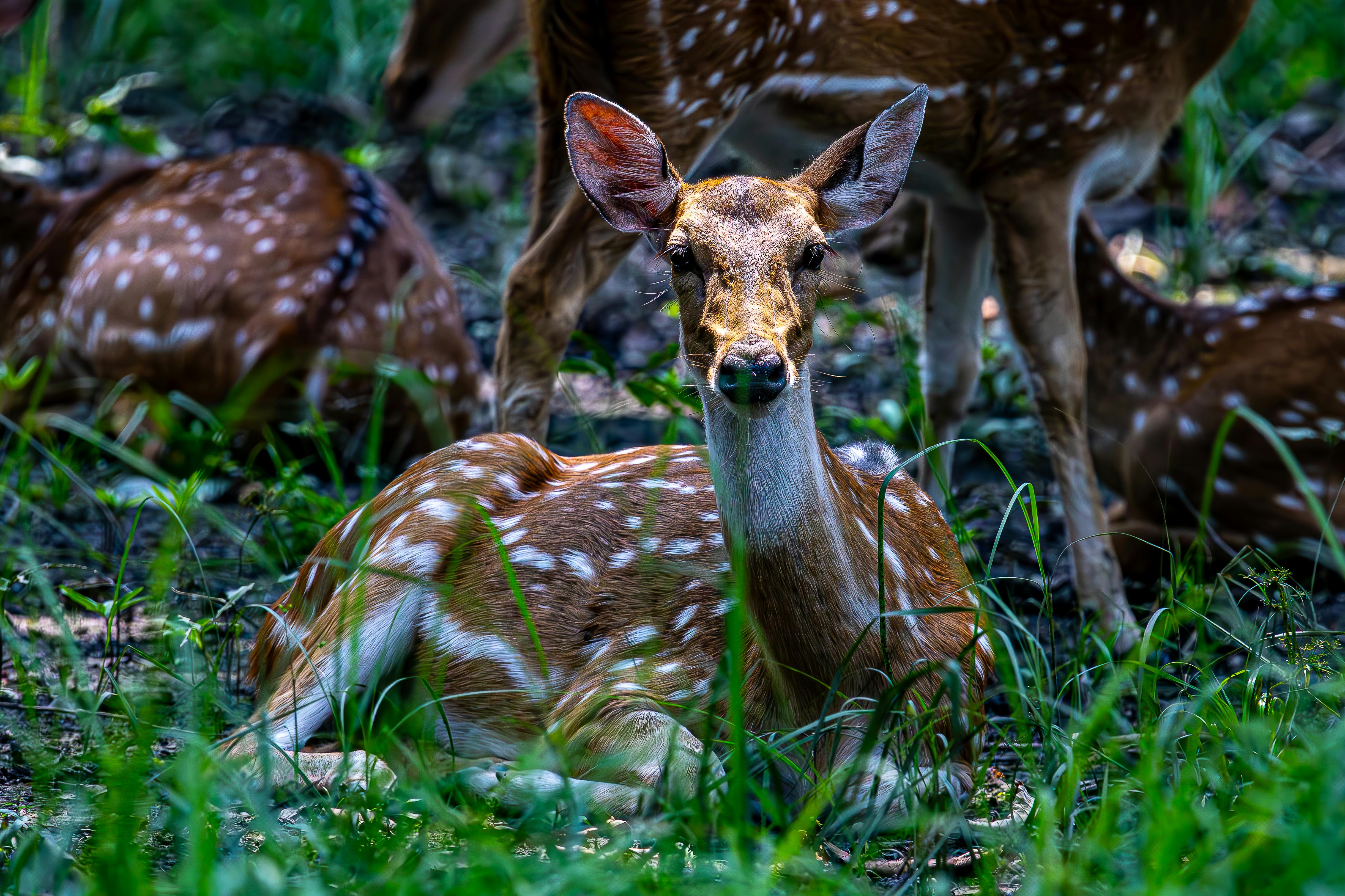 Still Pixels - Photography