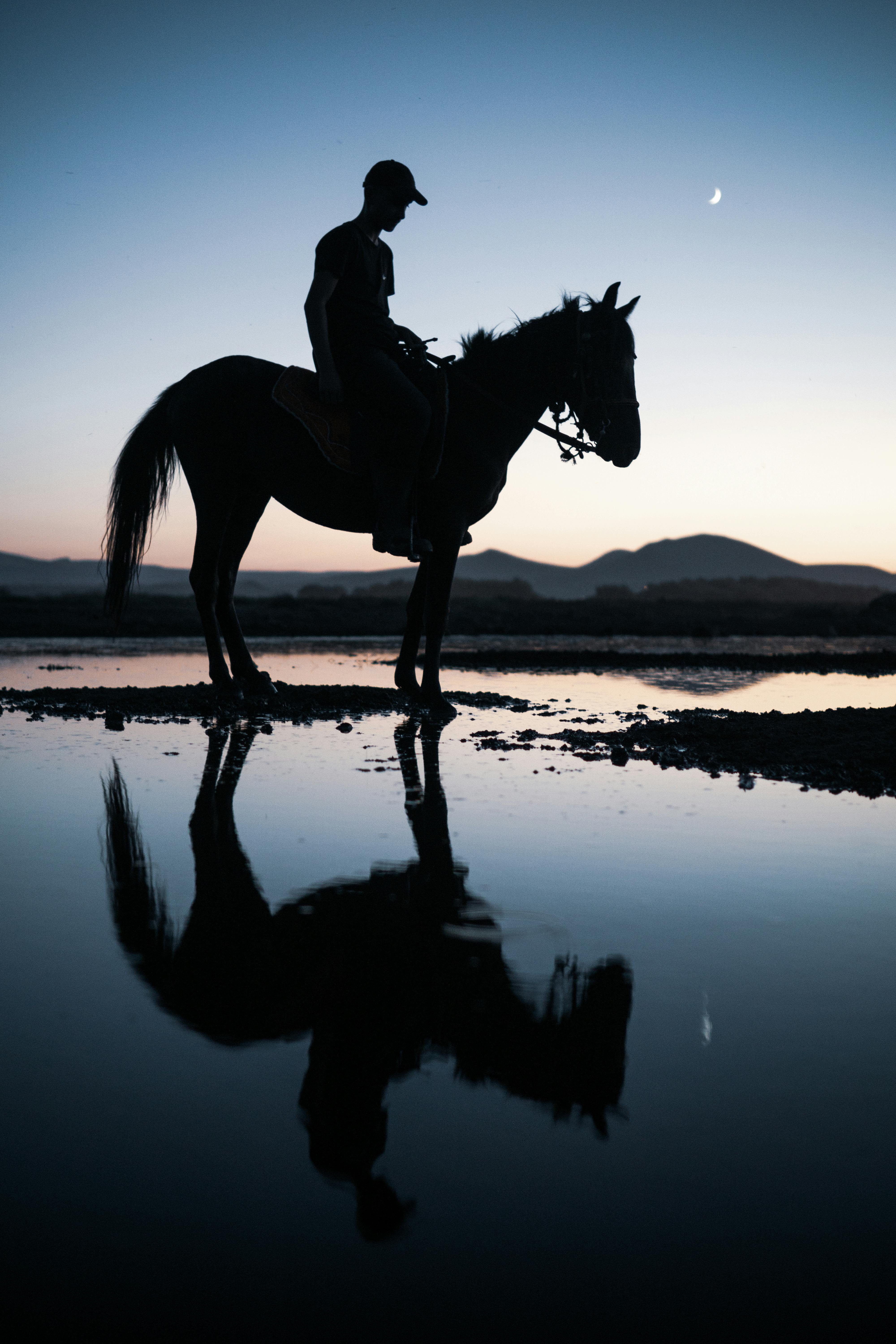 Man Horseback Riding in the Evening · Free Stock Photo