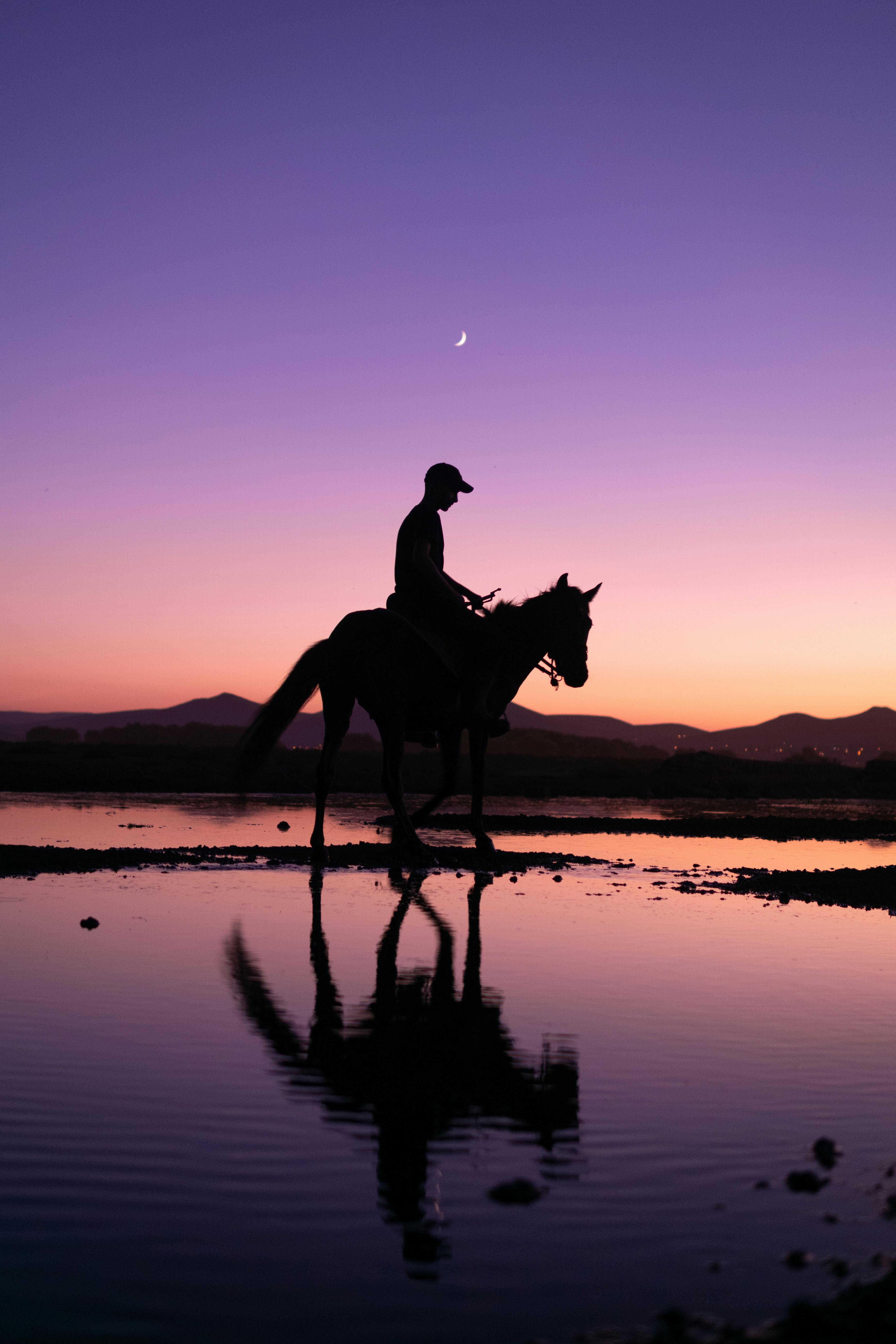 Horse Rider In Beautiful Surroundings Photos, Download The BEST Free ...