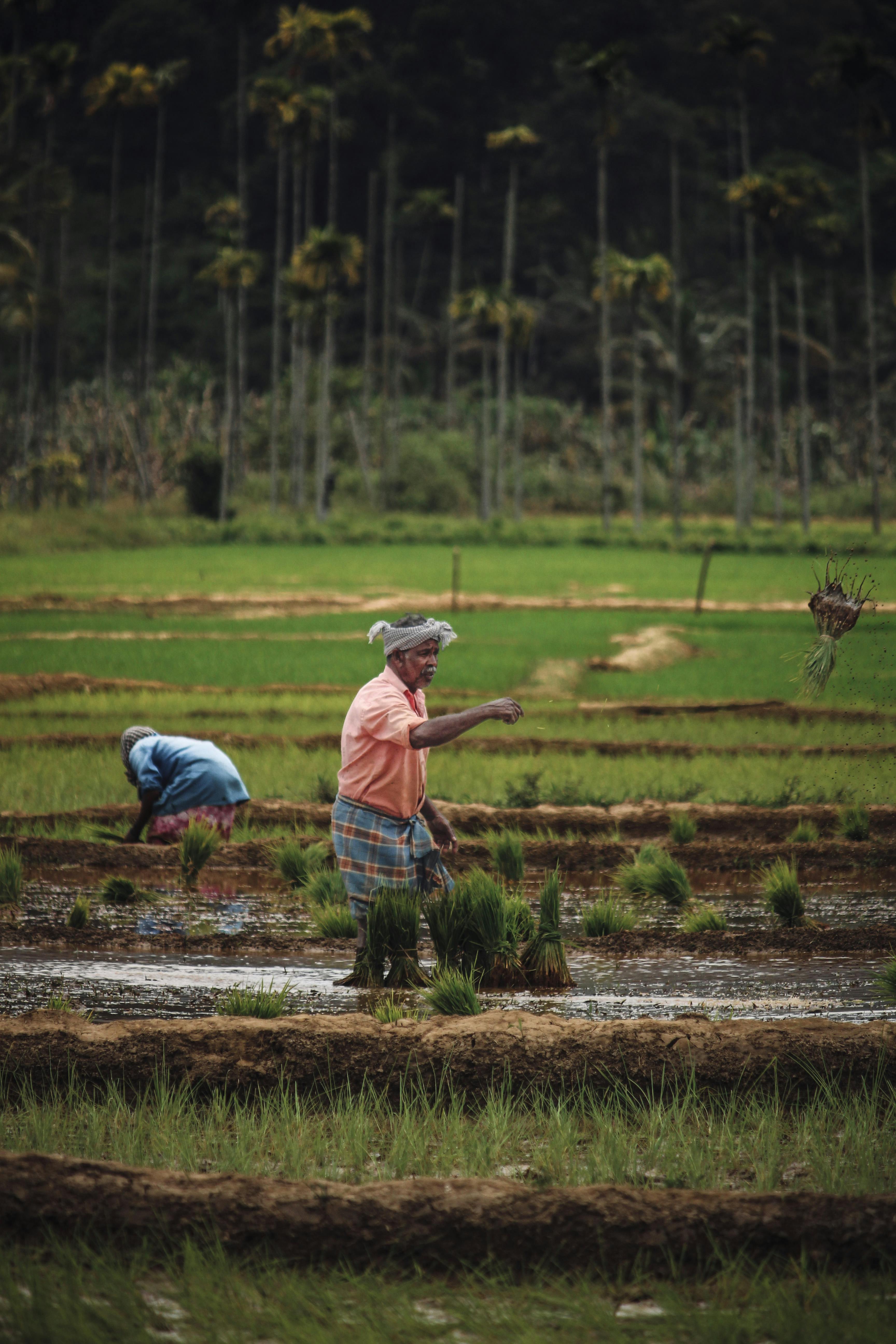 Man Standing on Rural Field · Free Stock Photo