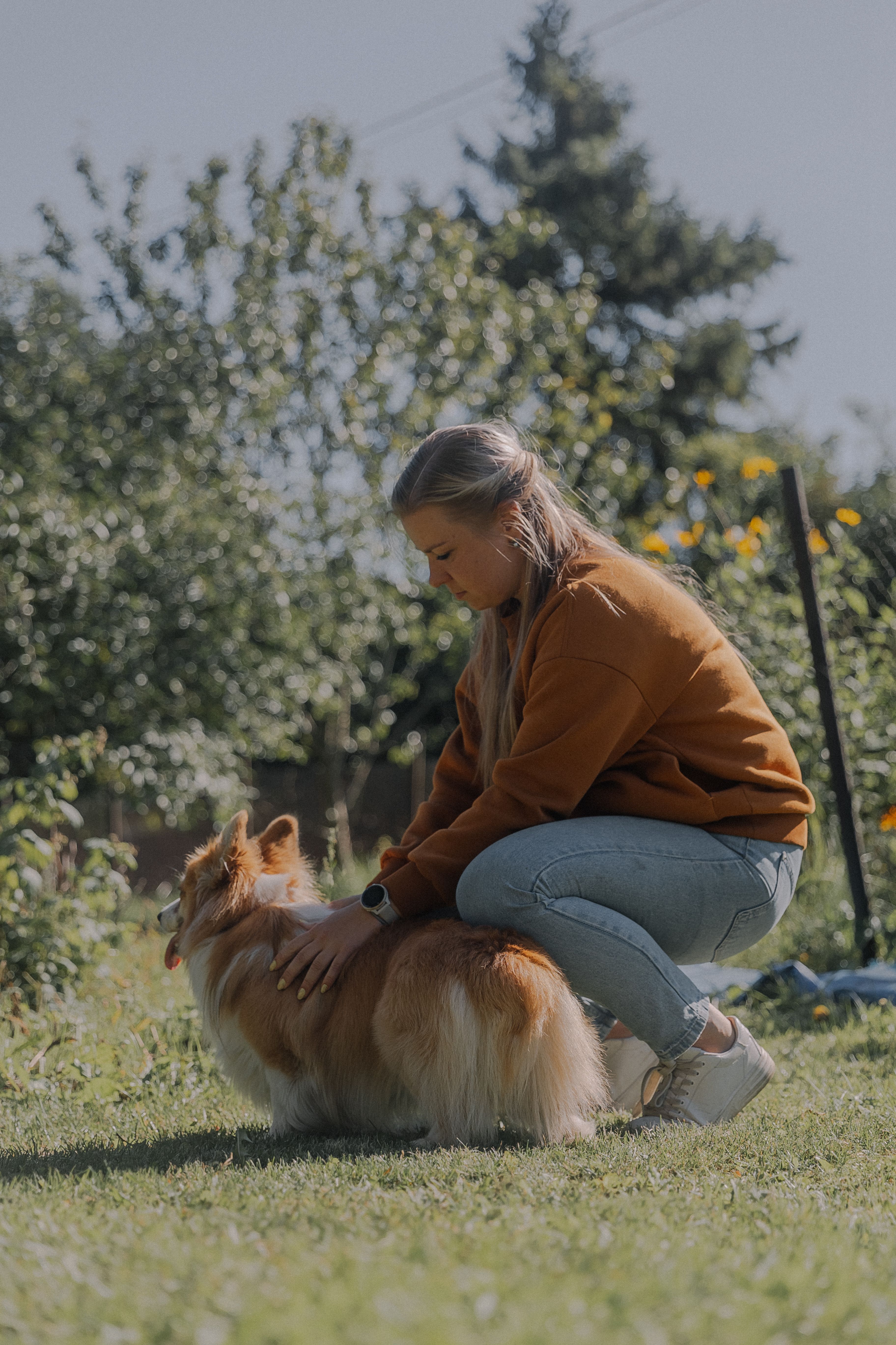 Woman Petting her Welsh Corgi · Free Stock Photo