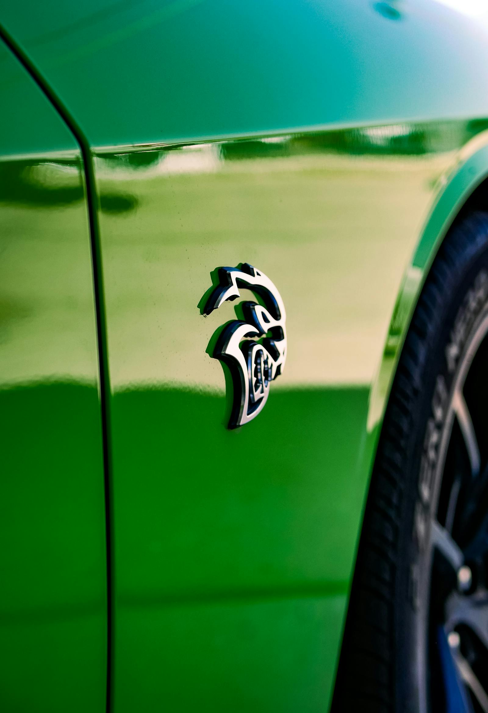 Hellcat Emblem Photos, Download The BEST Free Hellcat Emblem Stock ...
