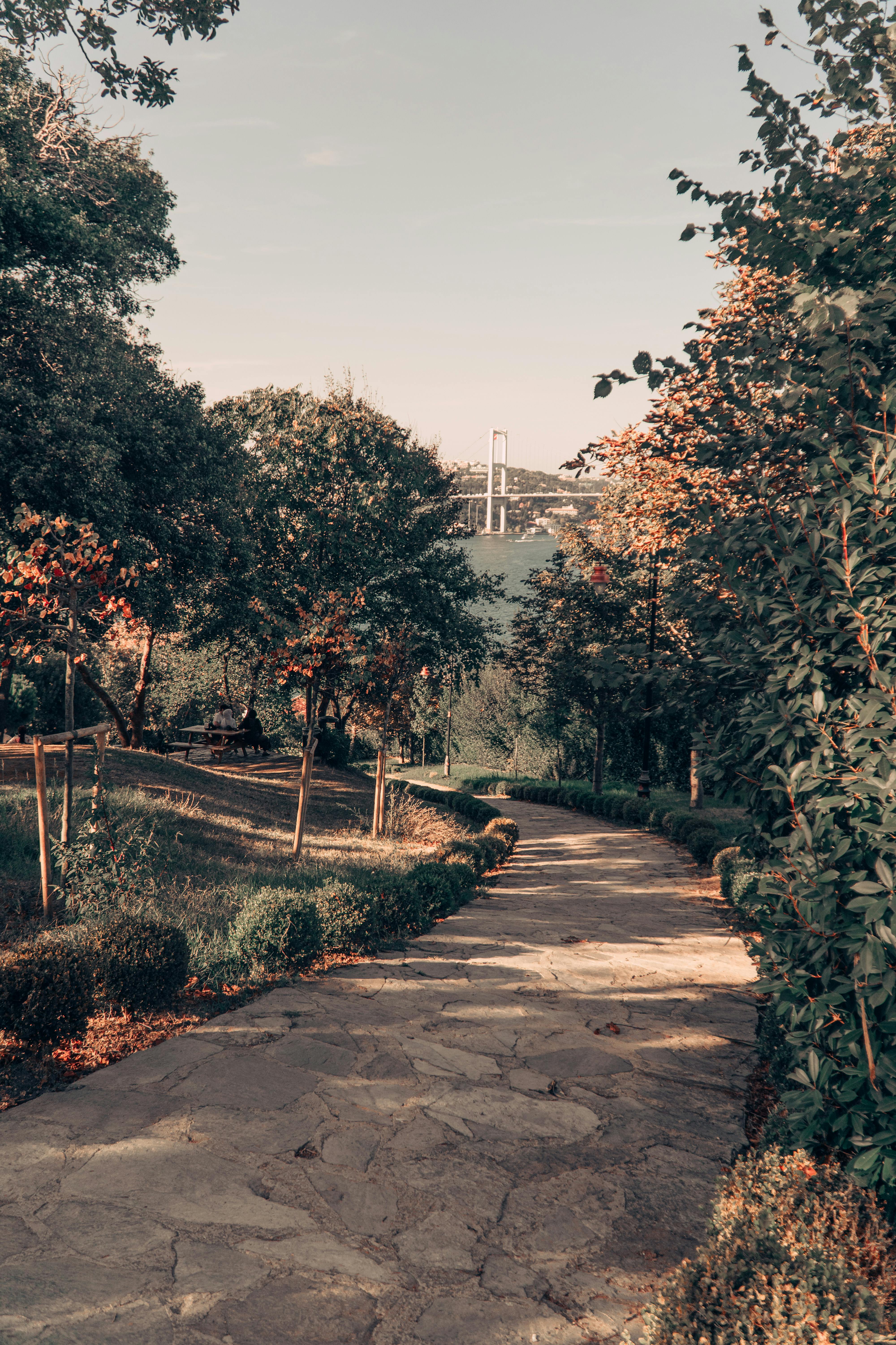 Park Footpath Background Photos, Download The BEST Free Park Footpath ...