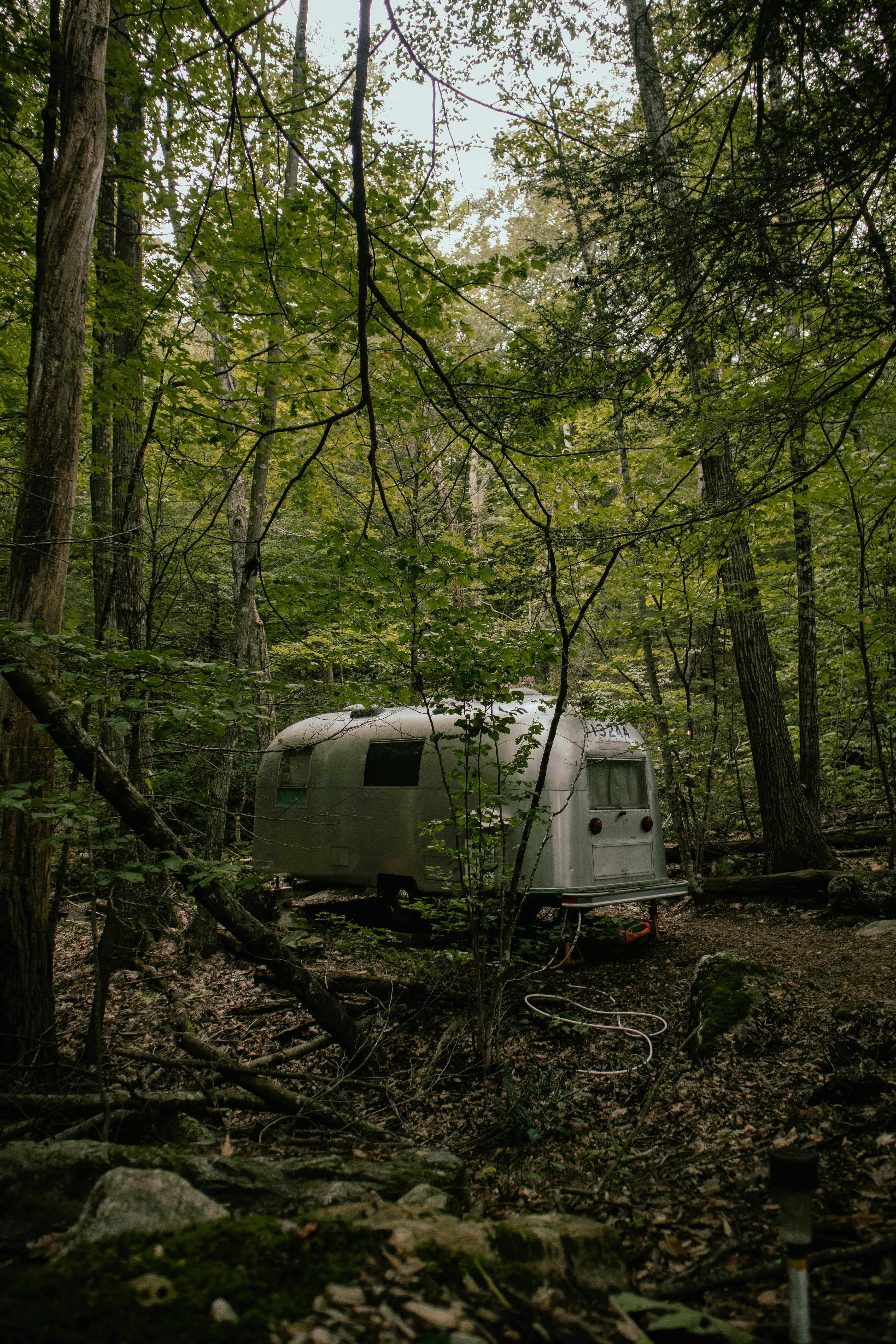 Camper among Trees in Deep Forest · Free Stock Photo