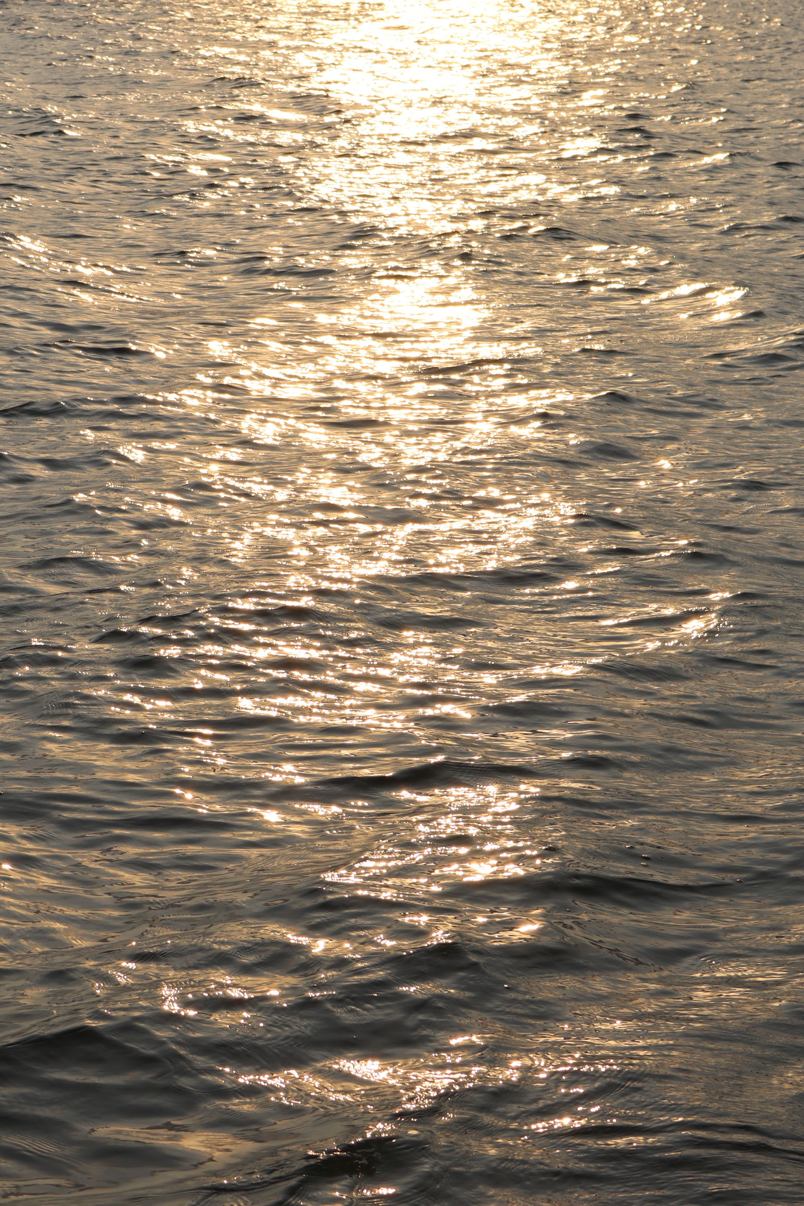 Sunlight Reflecting in Sea · Free Stock Photo